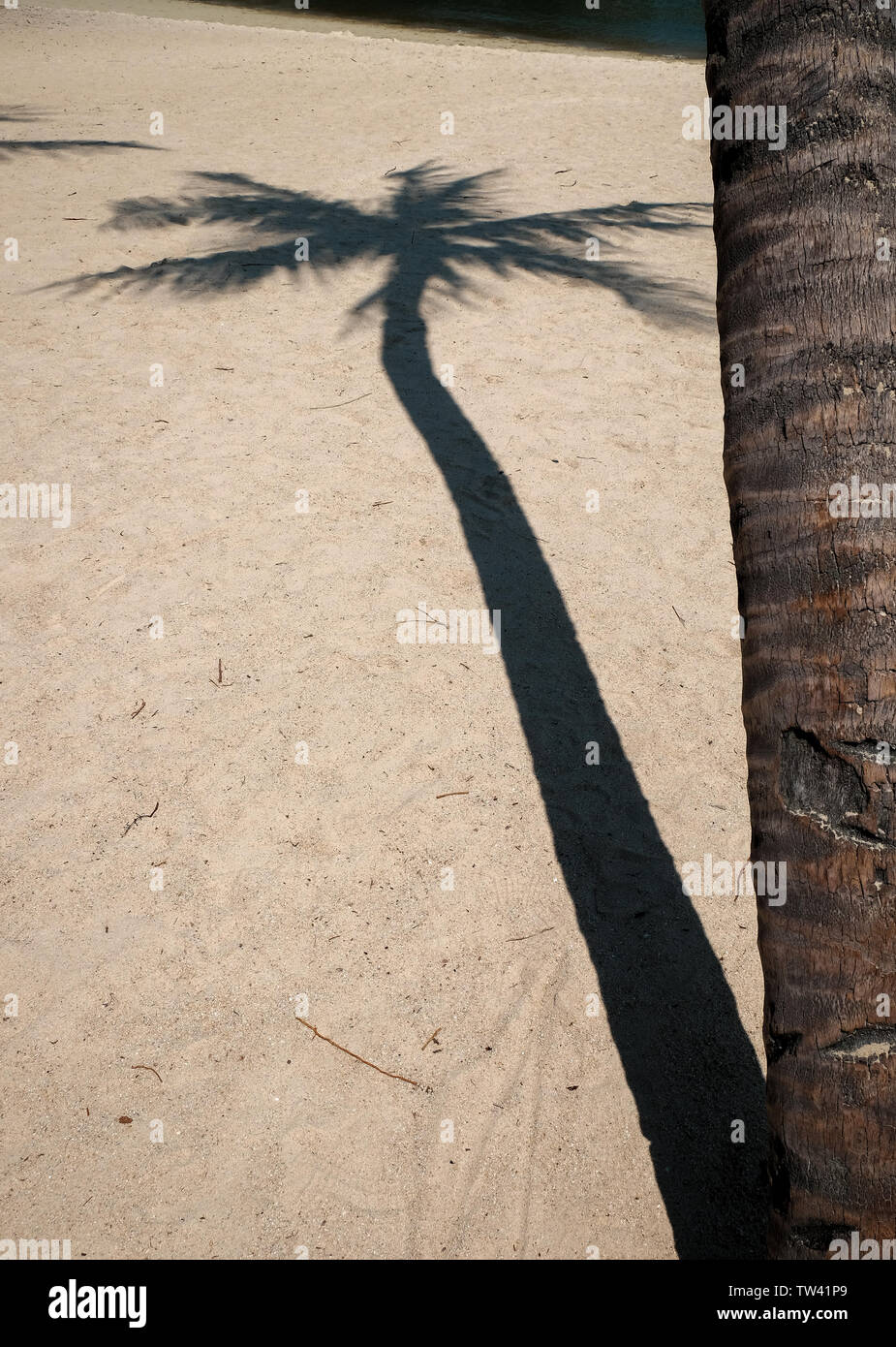 Shadow outline hi-res stock photography and images - Alamy