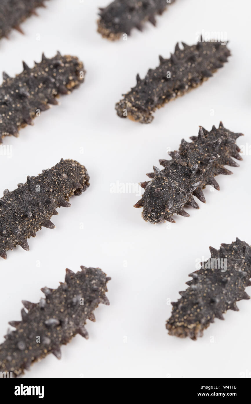 Light dried sea cucumber hi-res stock photography and images - Alamy