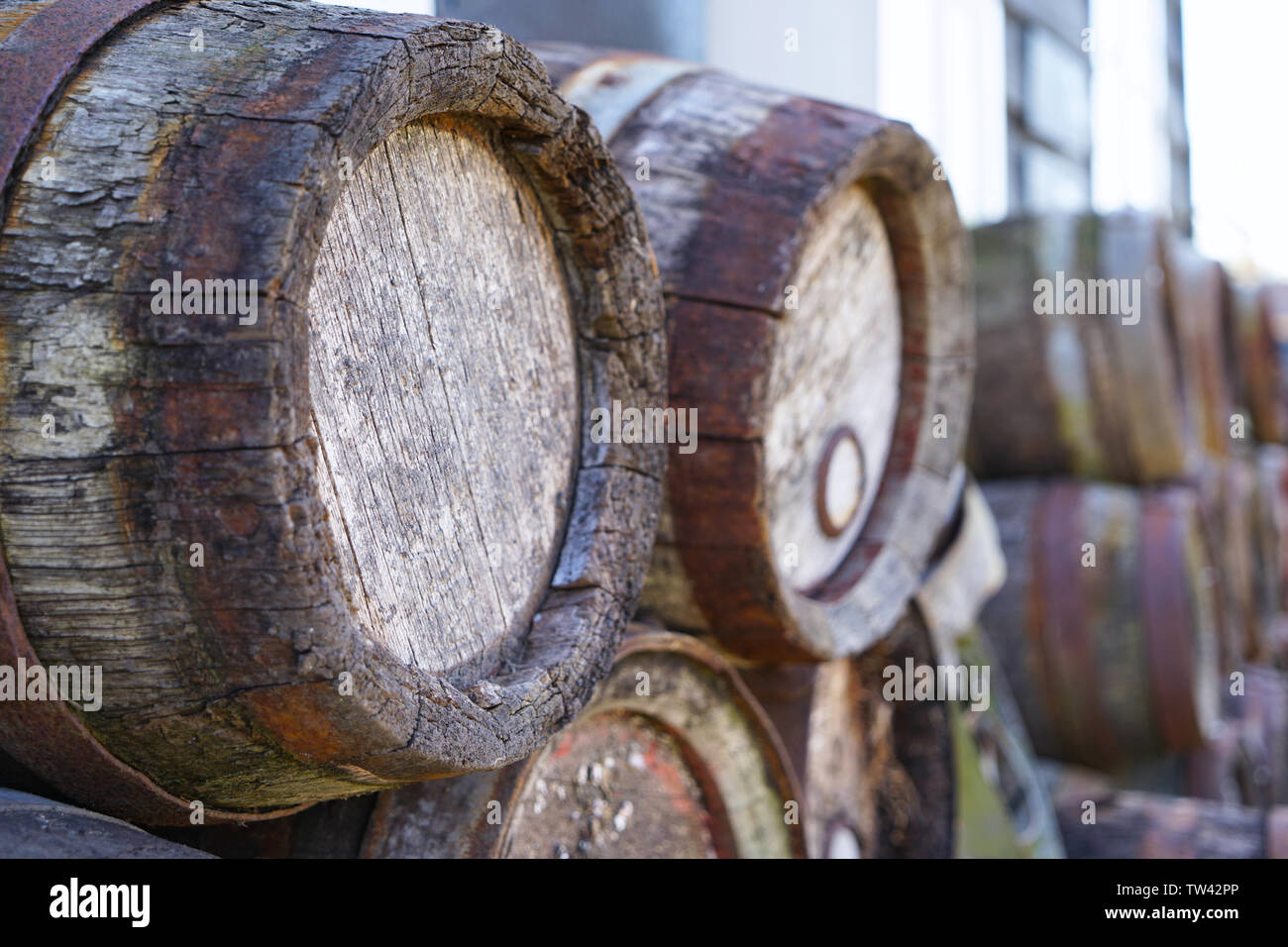 Empty whisky barrels hi-res stock photography and images - Alamy