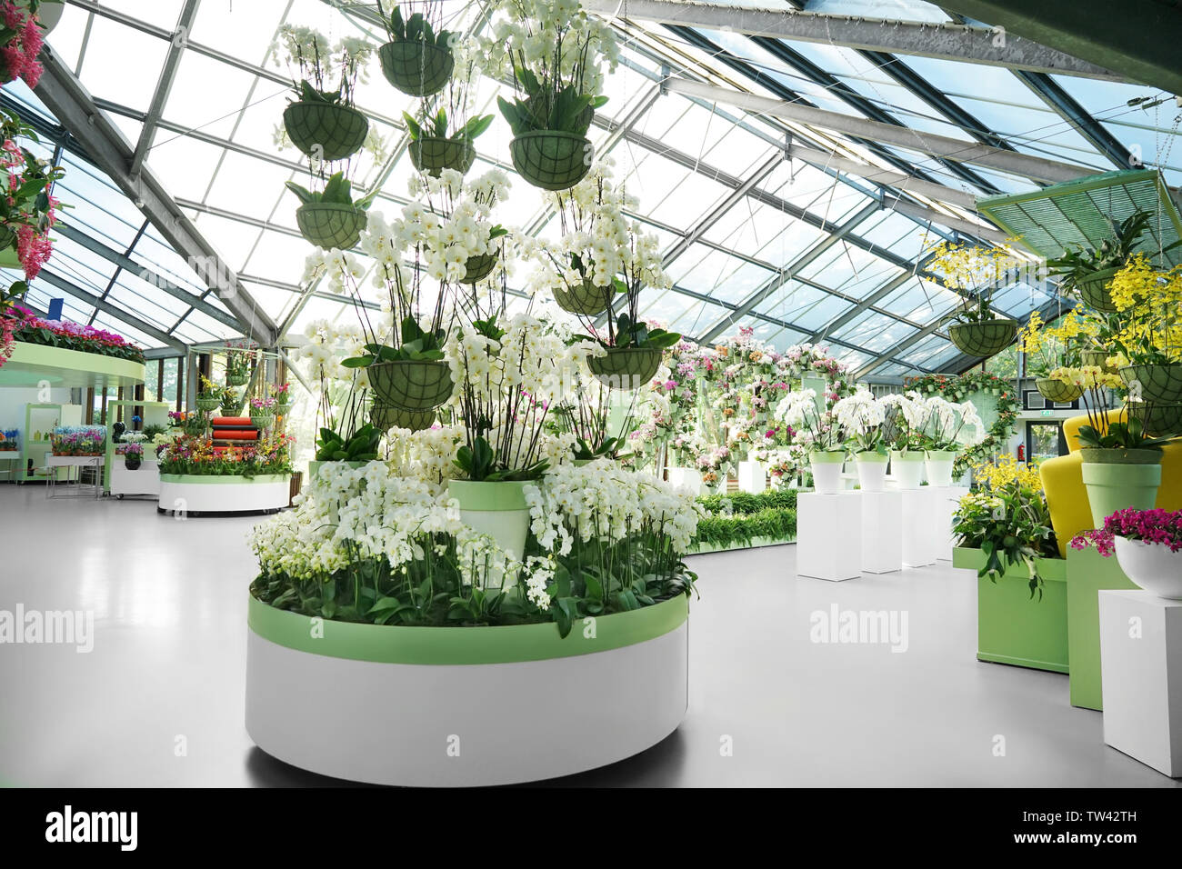 Interior view of flower store Stock Photo - Alamy
