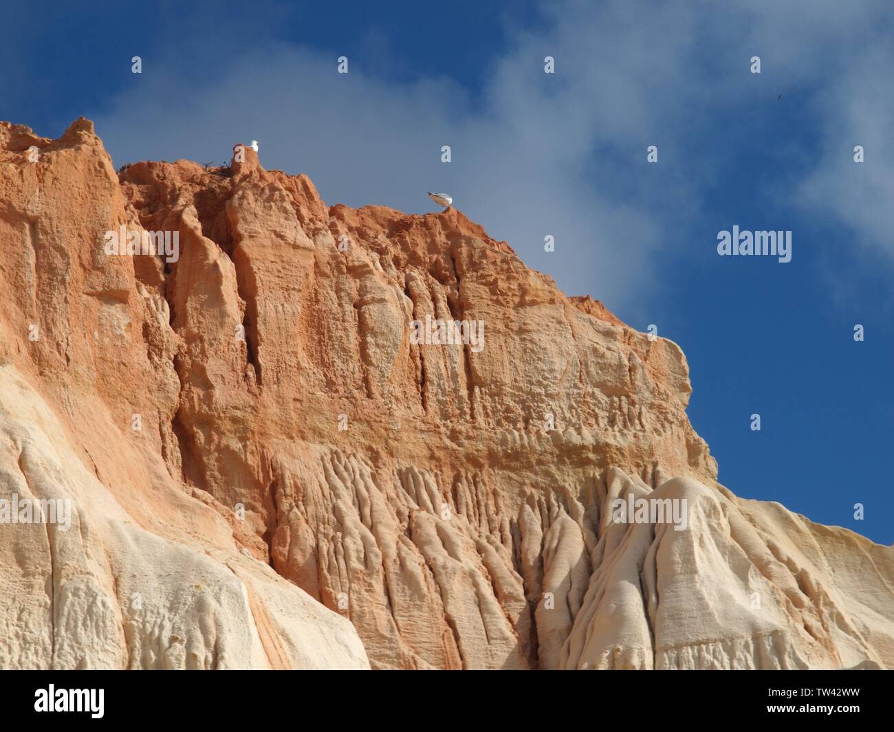 Red high cliffs and wild nature at Paraia da Falesia, a famous paradise ...