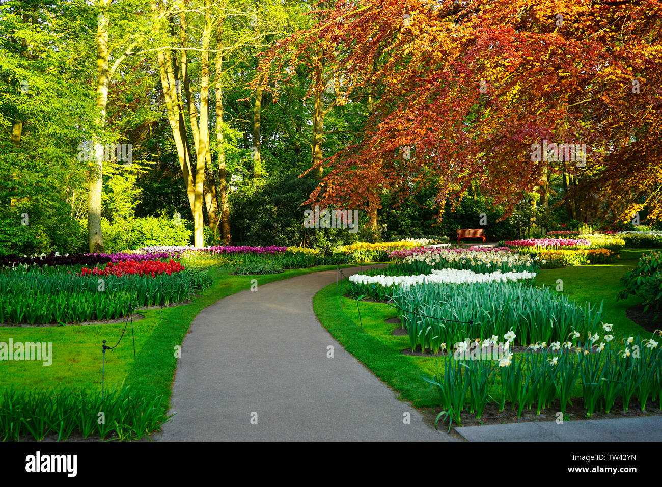 Beautiful spring landscape with green lawn Stock Photo - Alamy