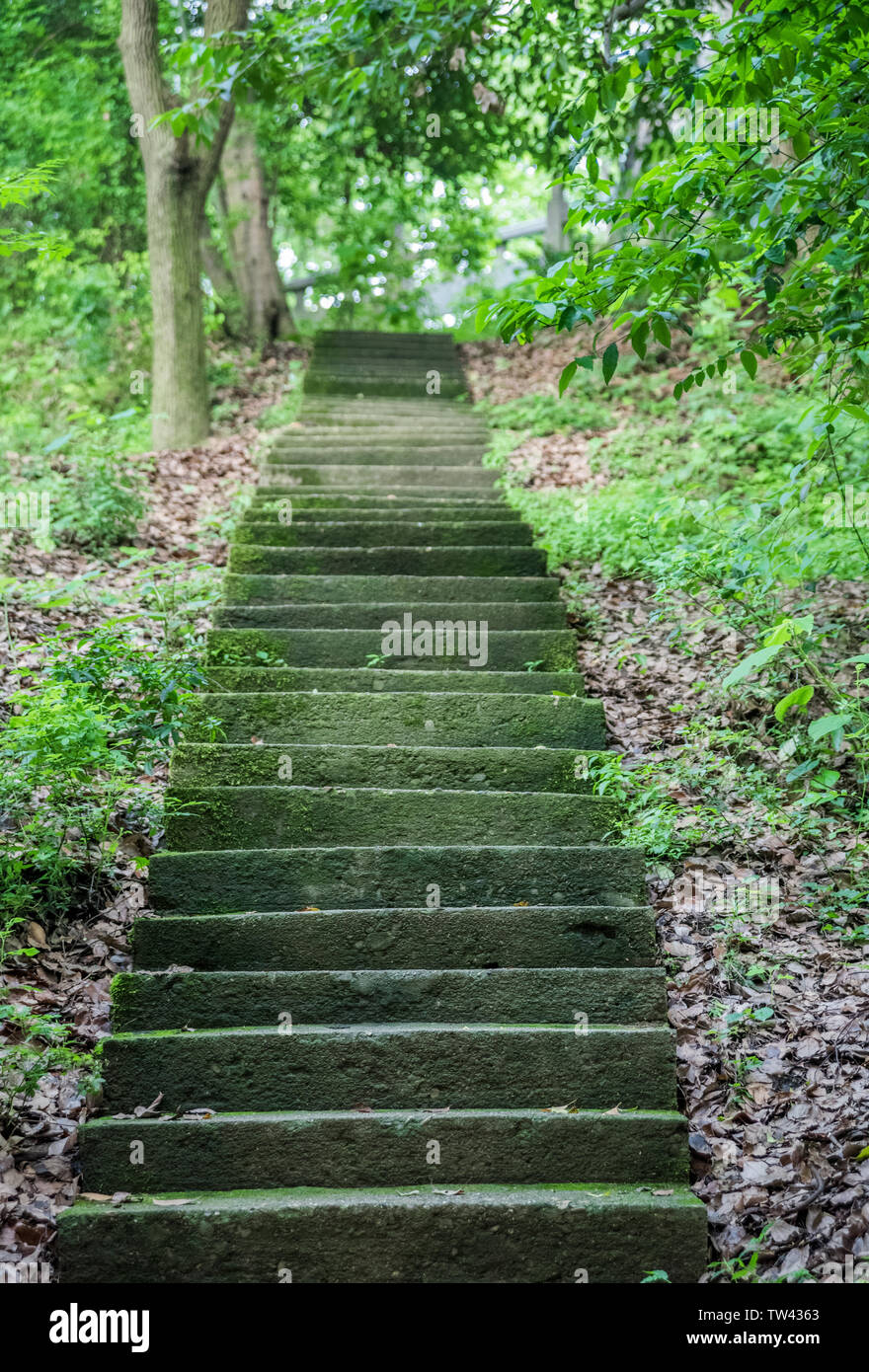 Stone ladder of Dongta Park, Shuangqing District, Shaoyang Stock Photo ...