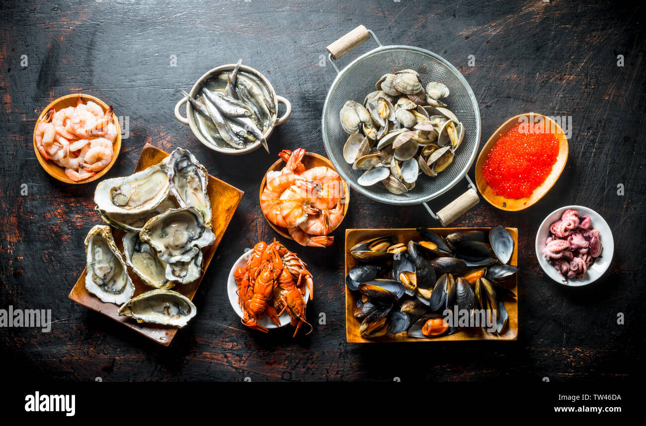 Mussel types hi-res stock photography and images - Alamy