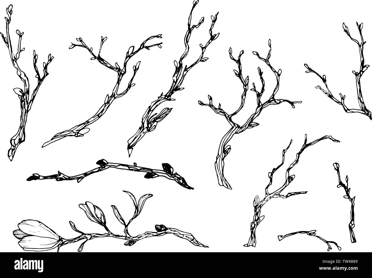 Flower branch with buds ink art Cut Out Stock Images & Pictures - Alamy