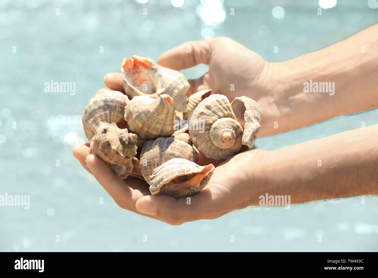 Male hands with sea shells on a beach Stock Photo - Alamy