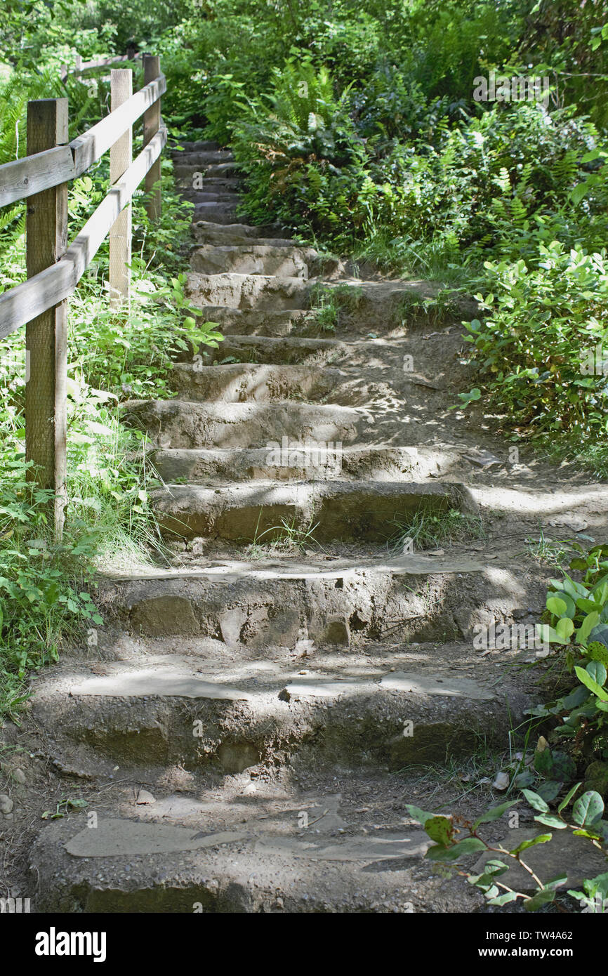 Rustic stairs hi-res stock photography and images - Alamy