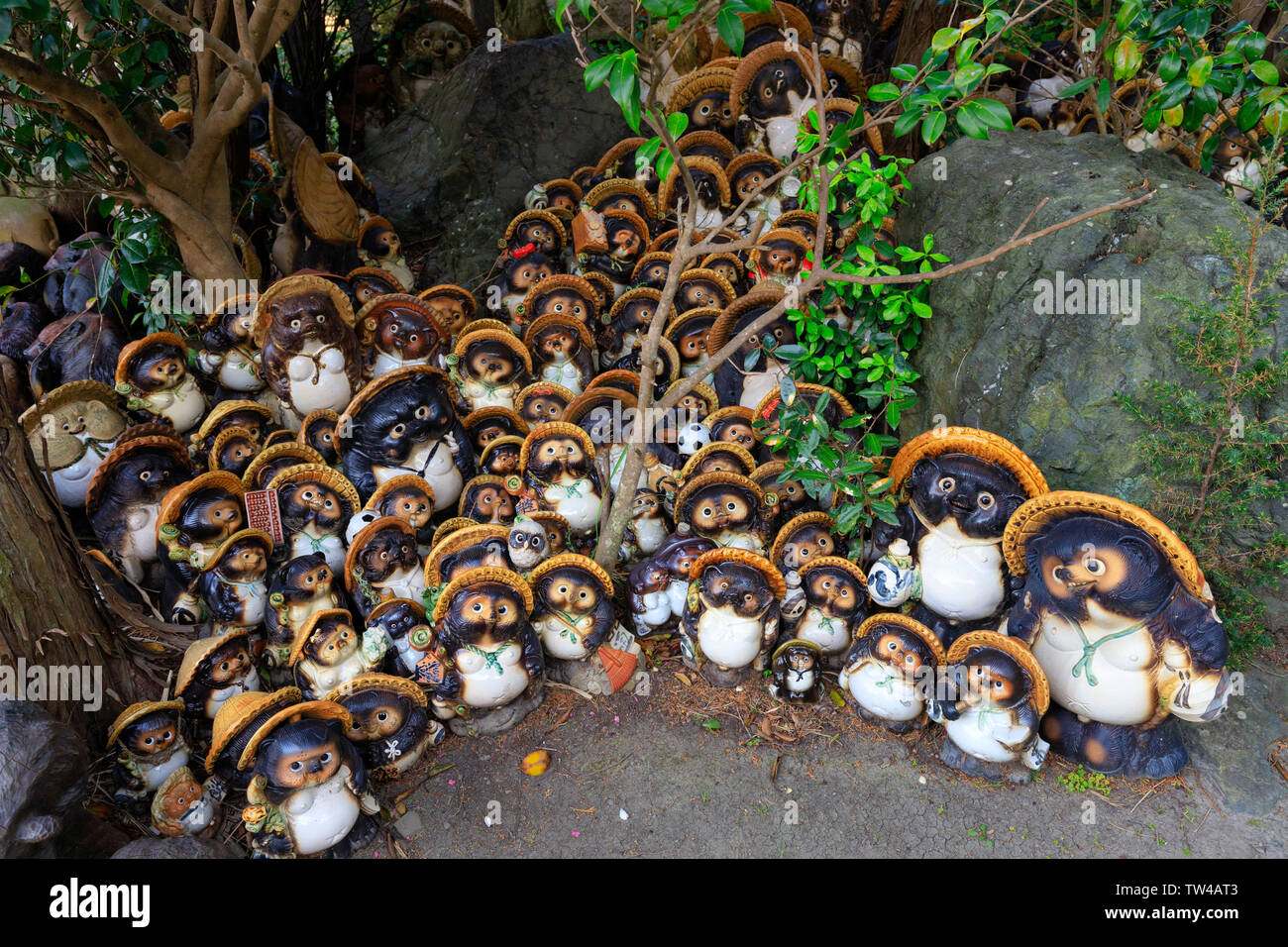 Tanuki statue hi-res stock photography and images - Alamy