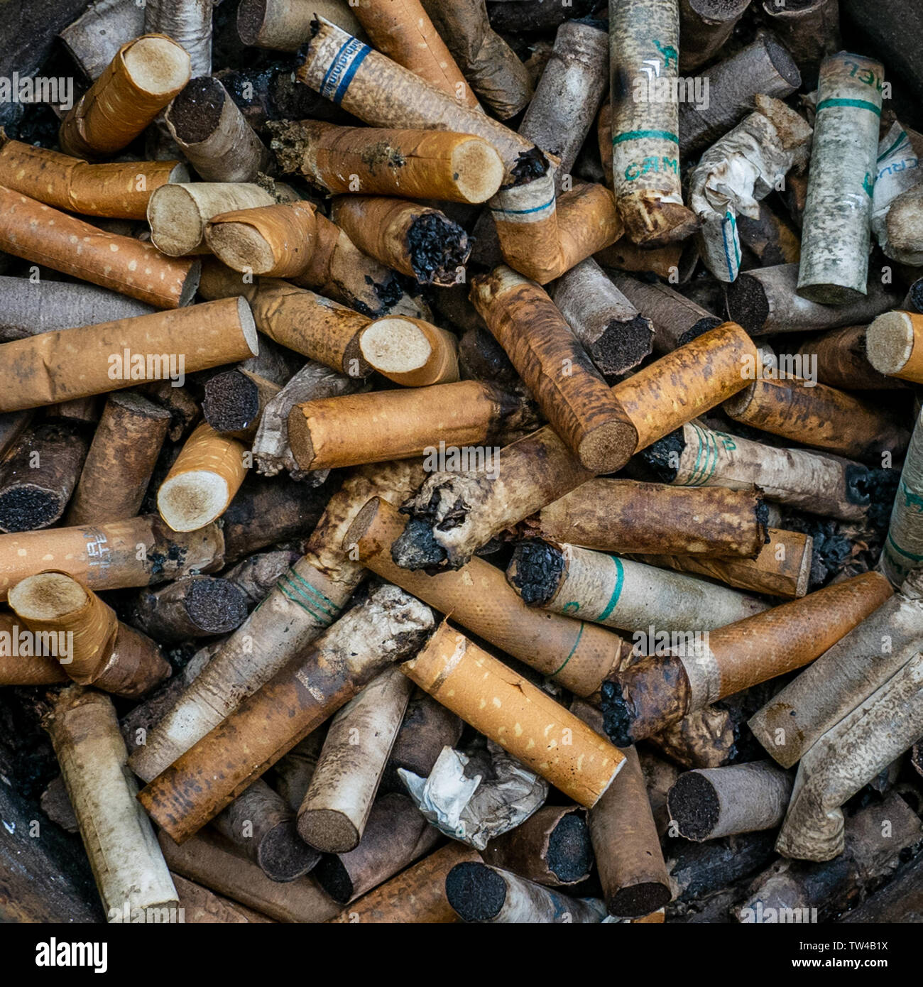 Cigarette Smoker Gross