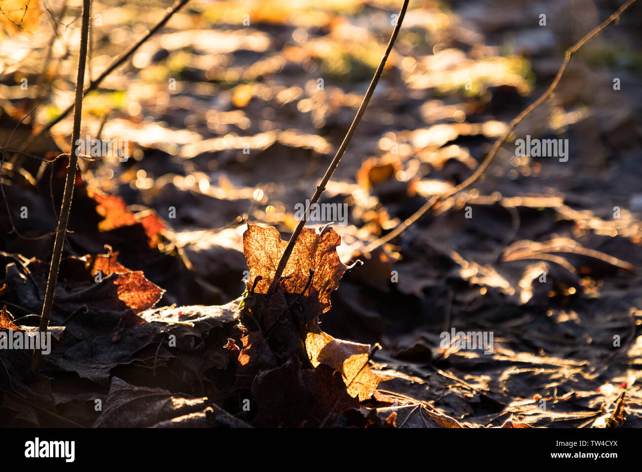 Dry bright day weather hi-res stock photography and images - Alamy