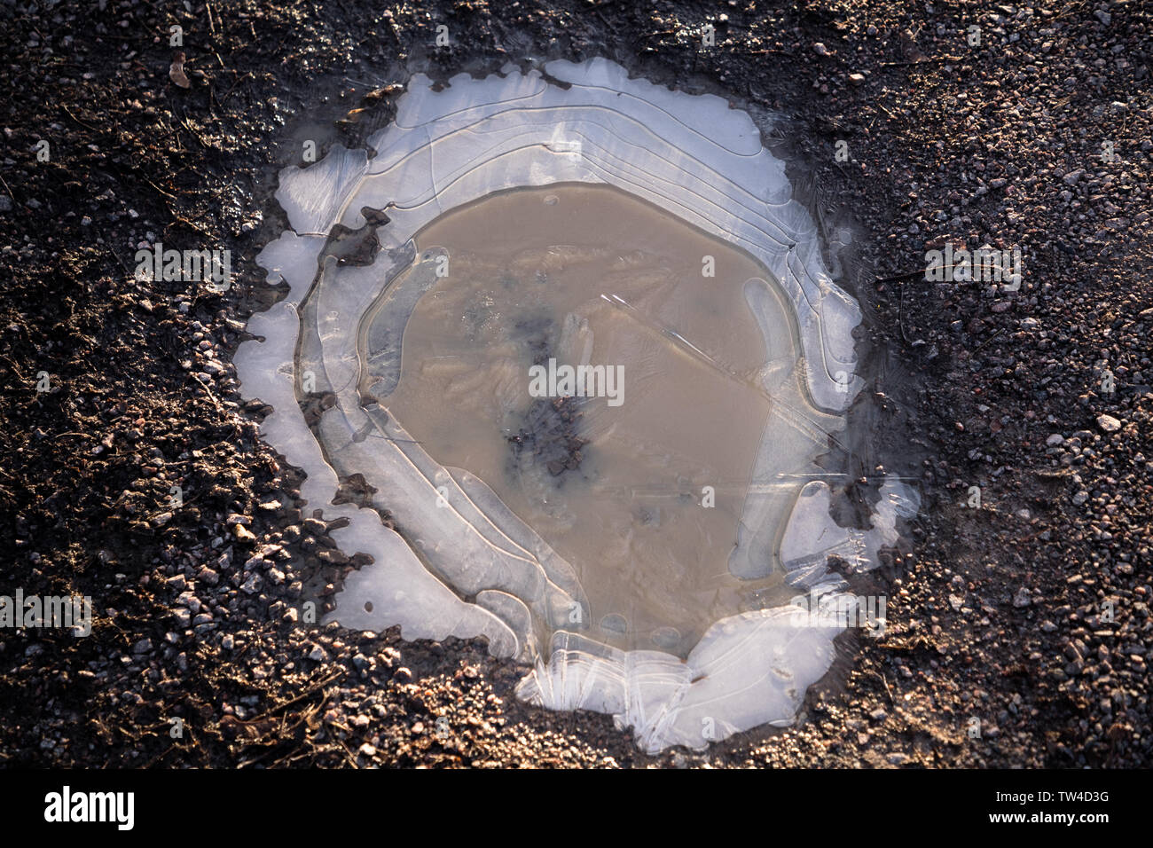 Clean puddle hi-res stock photography and images - Alamy