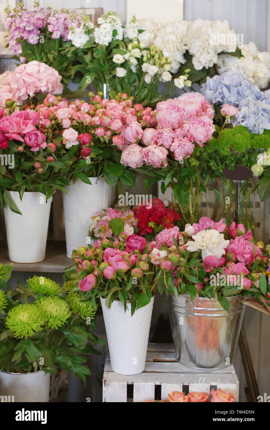 Beautiful peonies other flowers hi-res stock photography and images - Alamy