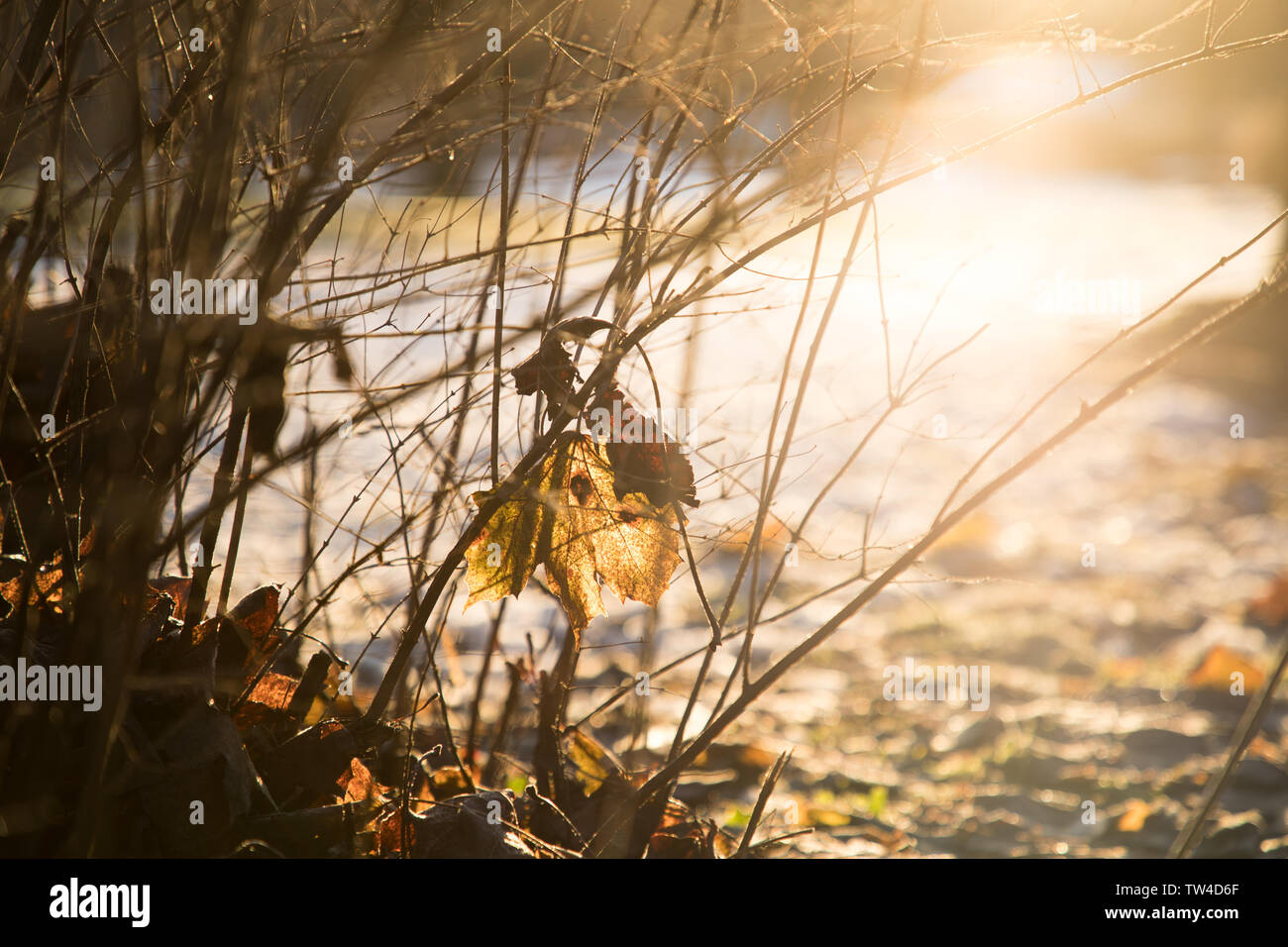 Dry bright day weather hi-res stock photography and images - Alamy