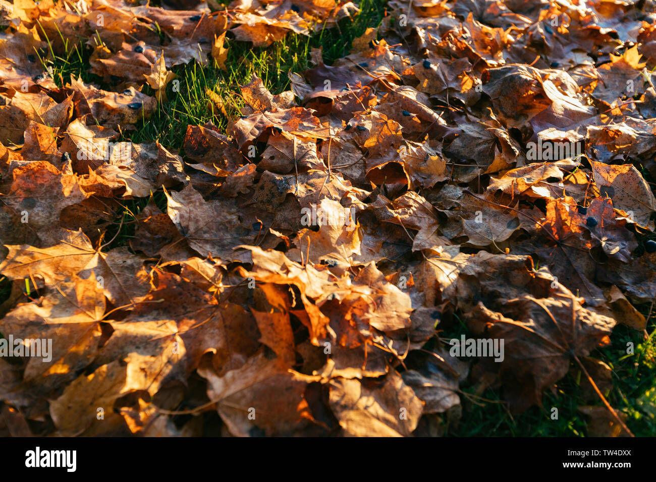 Dry bright day weather hi-res stock photography and images - Alamy