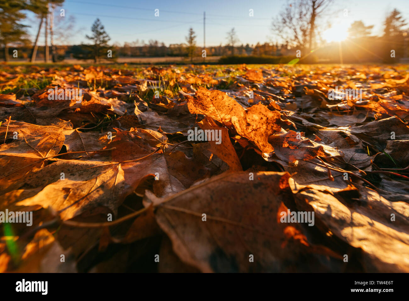 Dry bright day weather hi-res stock photography and images - Alamy