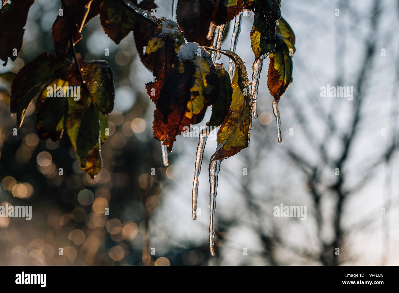 Melting icicles on sun hi-res stock photography and images - Alamy
