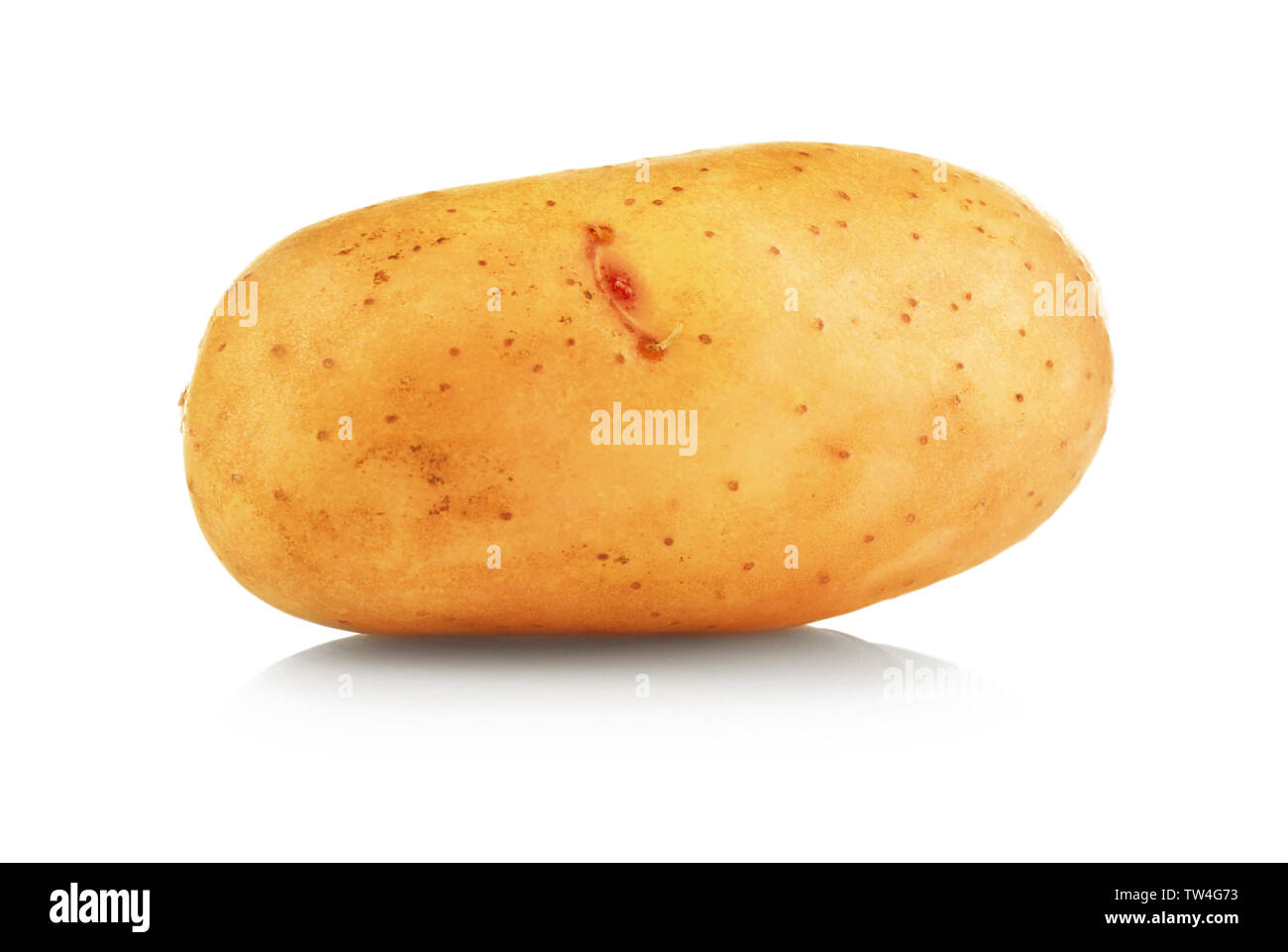 Raw unpeeled potato on white background Stock Photo - Alamy