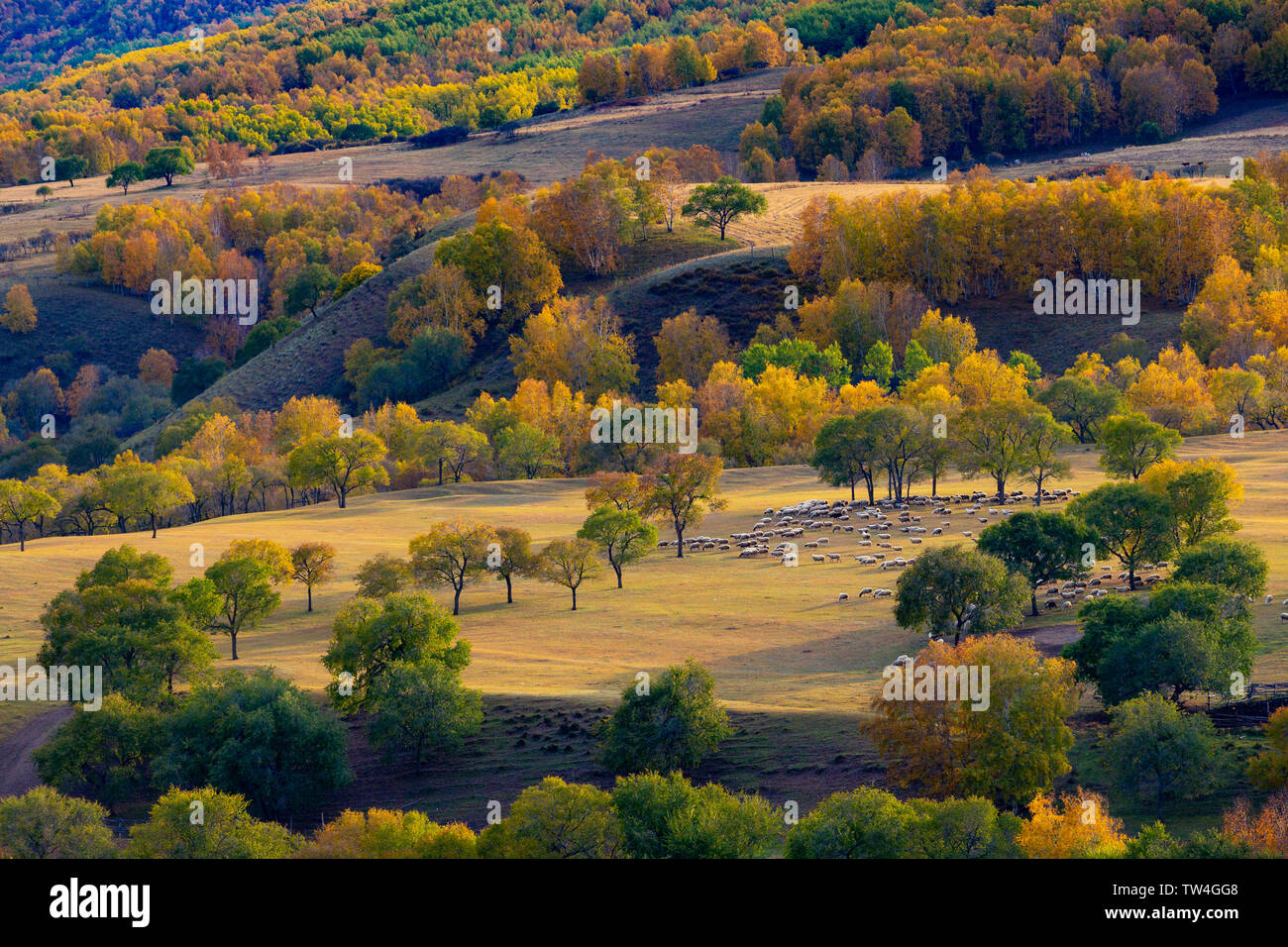 Toad dam scenery Stock Photo - Alamy