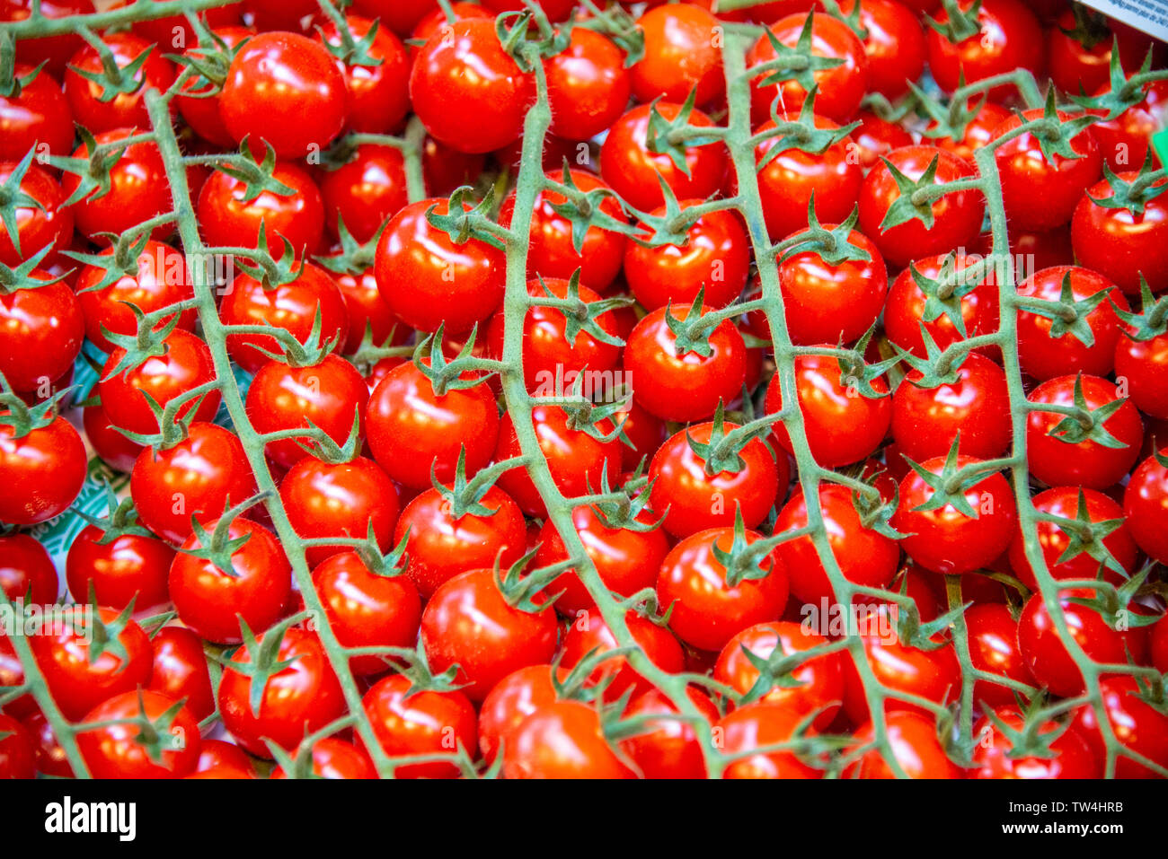 Tomatoes at the market display stall Stock Photo - Alamy