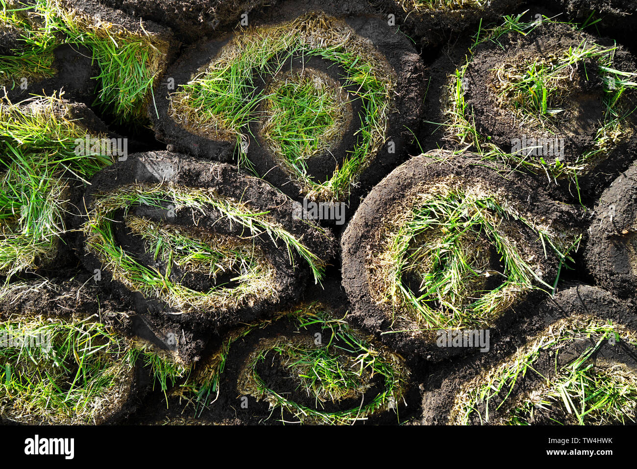 Rolled grass sods as background Stock Photo - Alamy