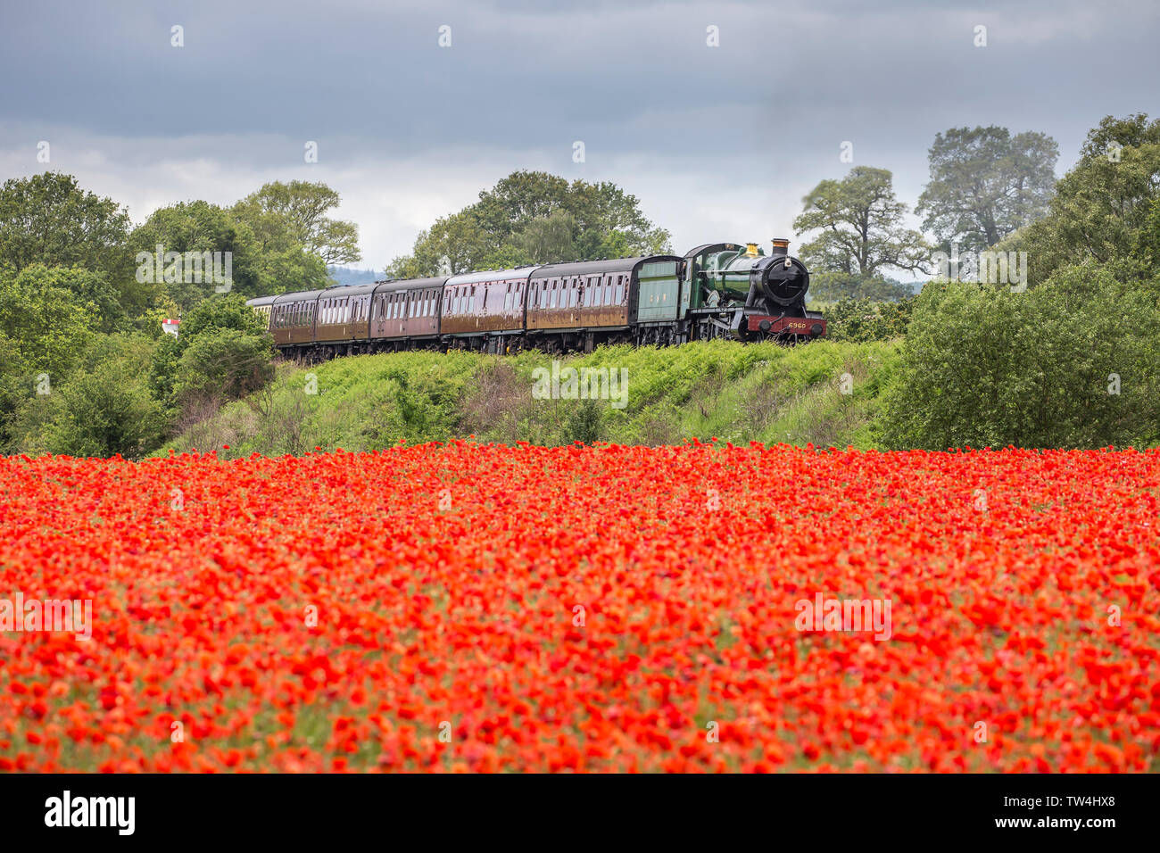 Uk steam train hi-res stock photography and images - Alamy