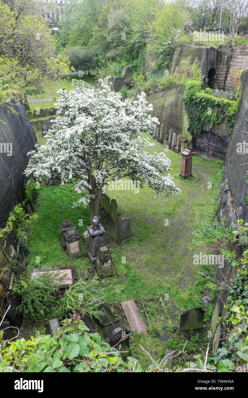 St James Gardens,graveyard,cemetery,gravestones,Anglican Cathedral ...