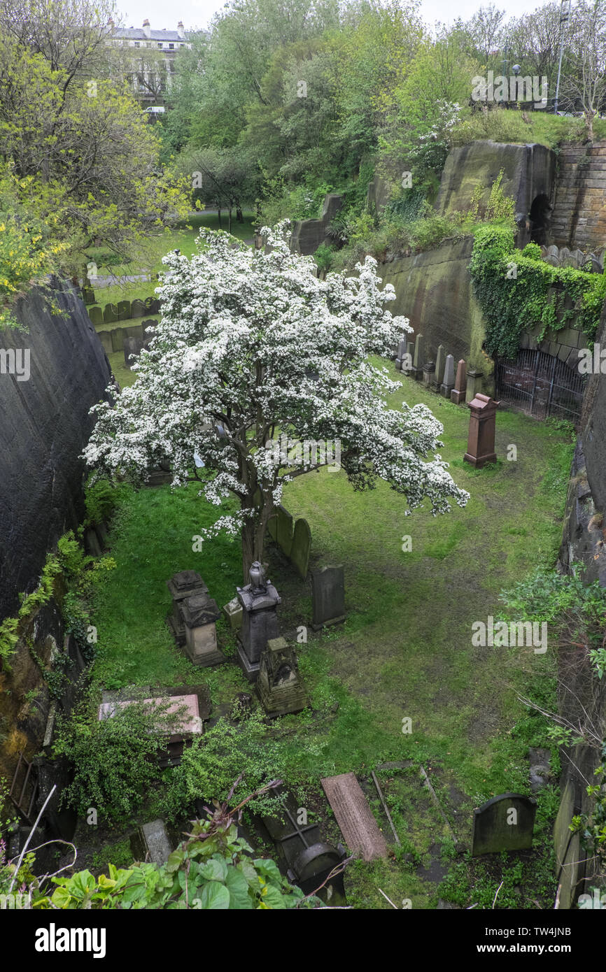 City Of Liverpool Cemetery High Resolution Stock Photography and Images ...