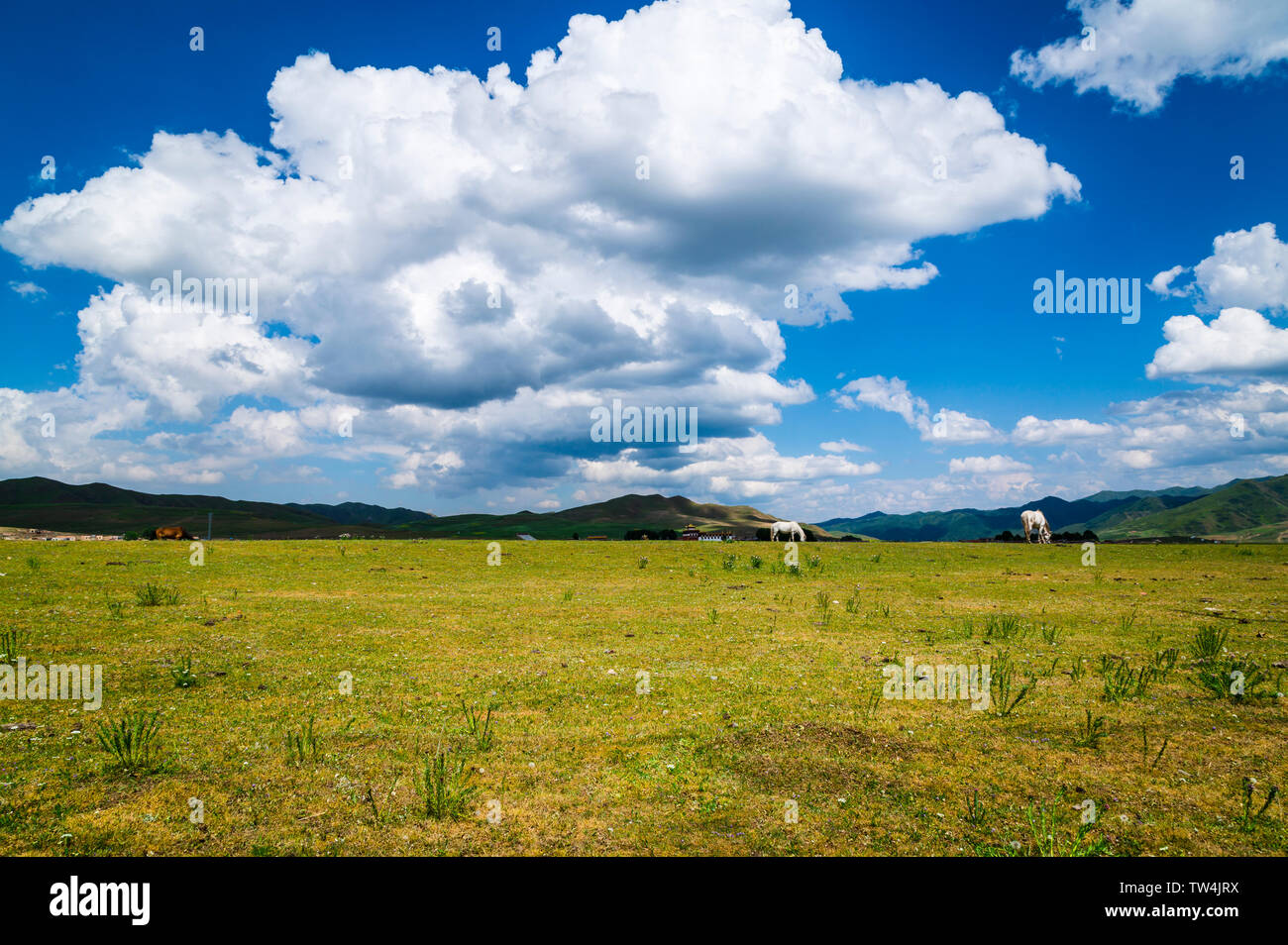 Prairie music hi-res stock photography and images - Alamy
