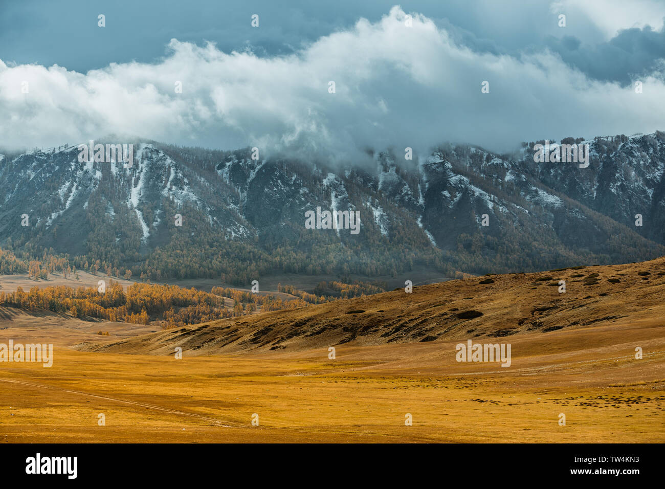 Autumn scenery in northern Xinjiang Stock Photo - Alamy