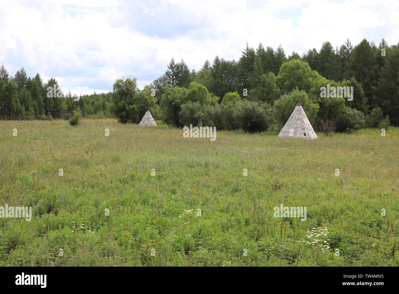 The mordaoga forest park hi-res stock photography and images - Alamy