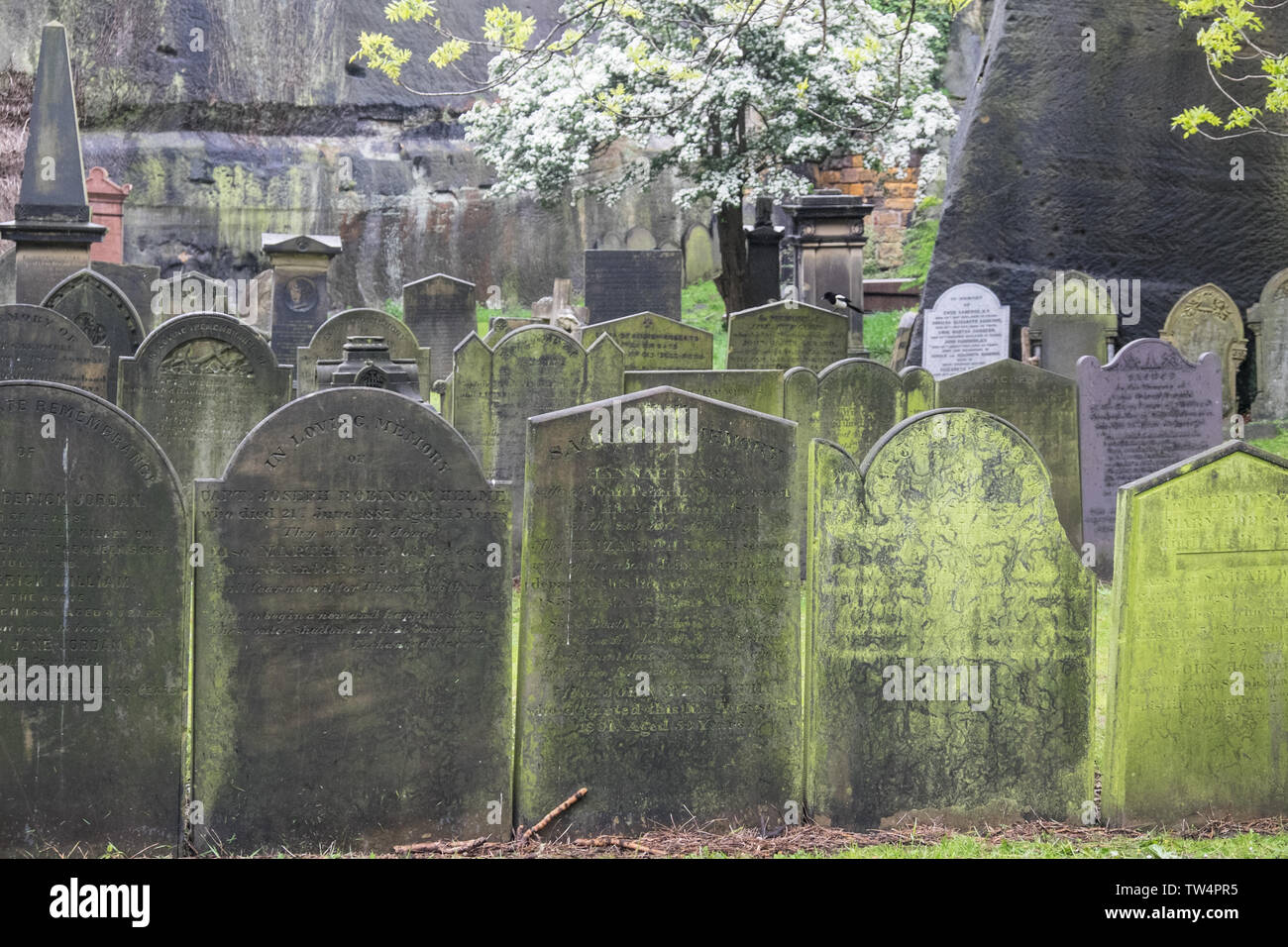 St James Gardens,graveyard,cemetery,gravestones,Anglican Cathedral ...