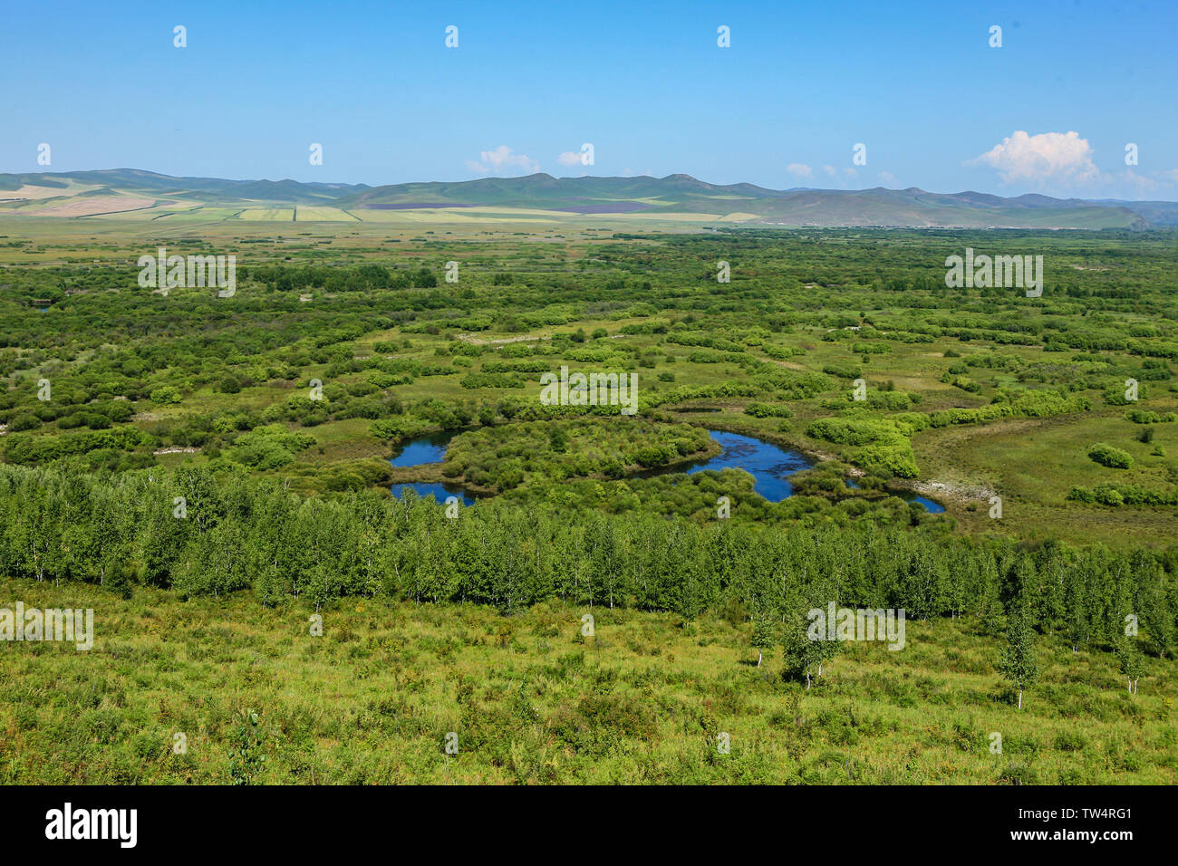 Scenery of Genhe Wetland in Xinjiang Stock Photo - Alamy
