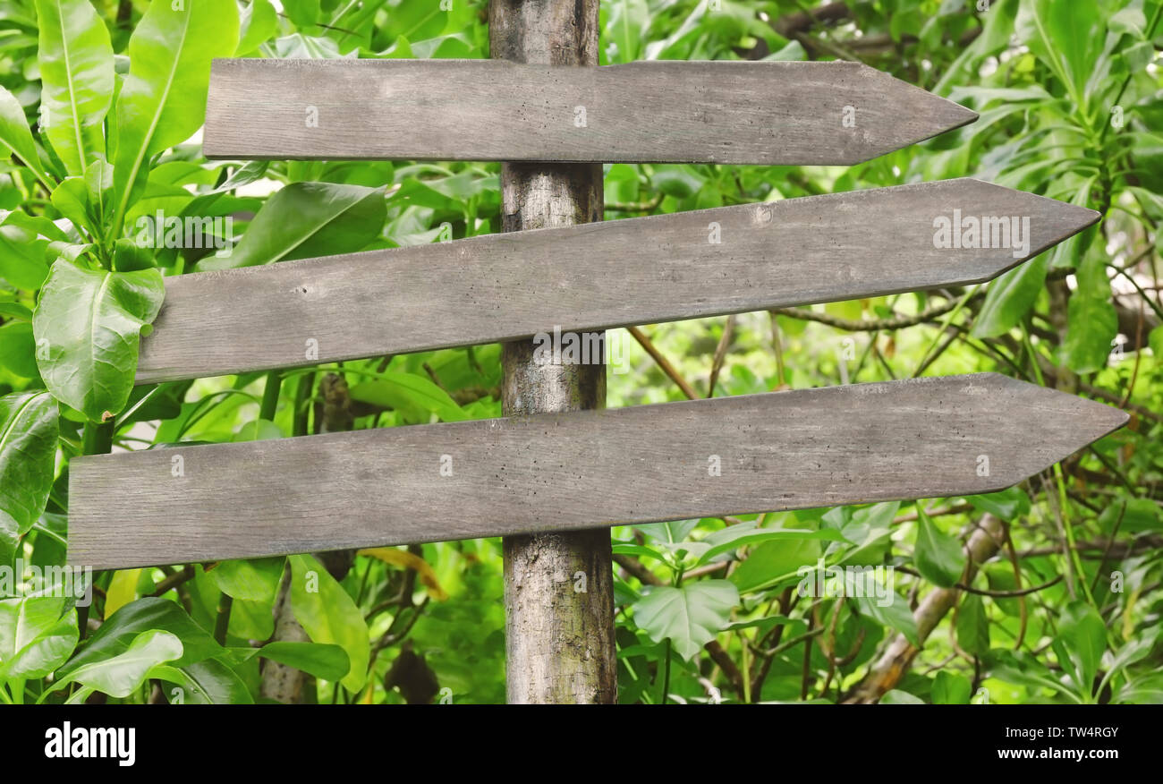 Blank directional signs in park at tropical resort Stock Photo - Alamy