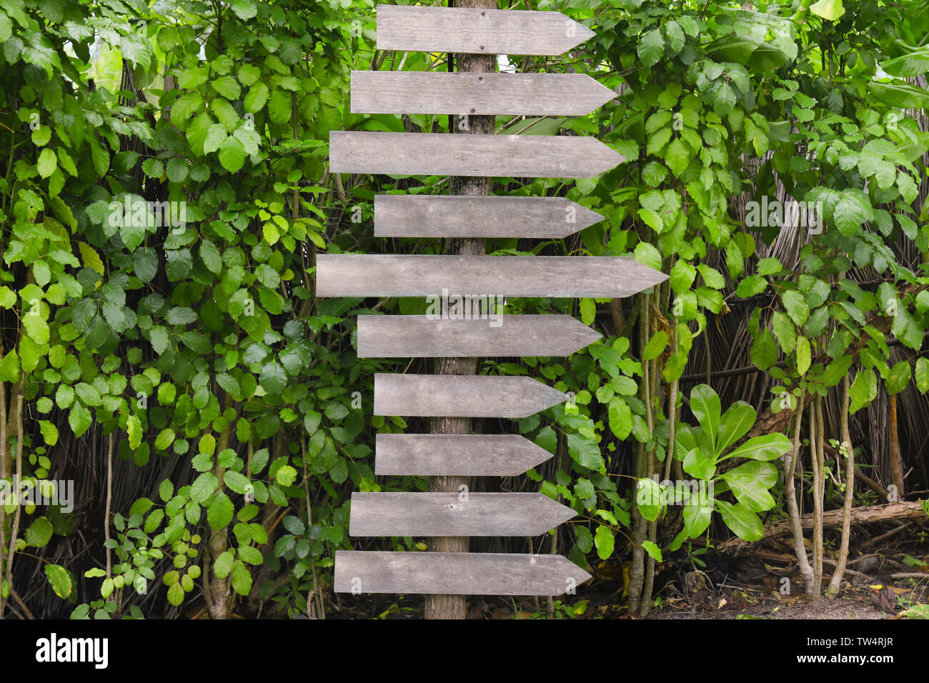Blank directional signs in park at tropical resort Stock Photo - Alamy