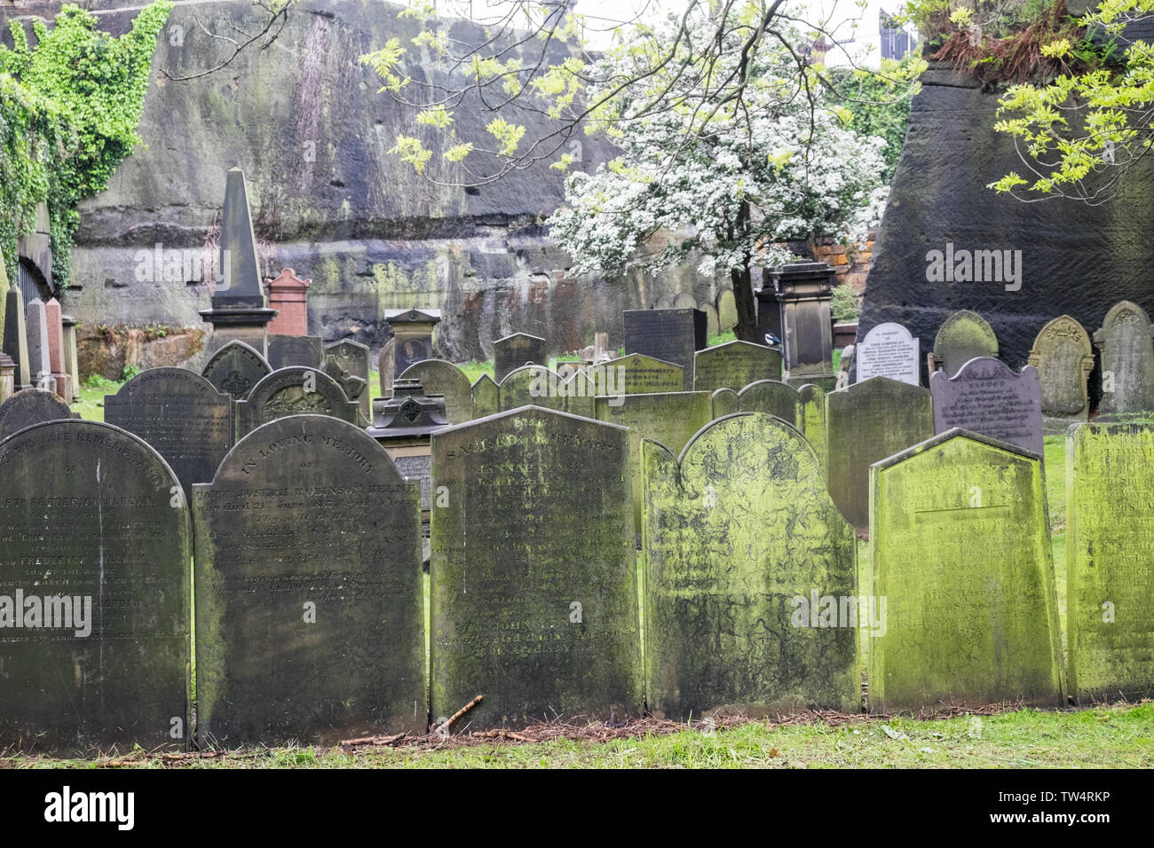 St James Gardens,graveyard,cemetery,gravestones,Anglican Cathedral ...