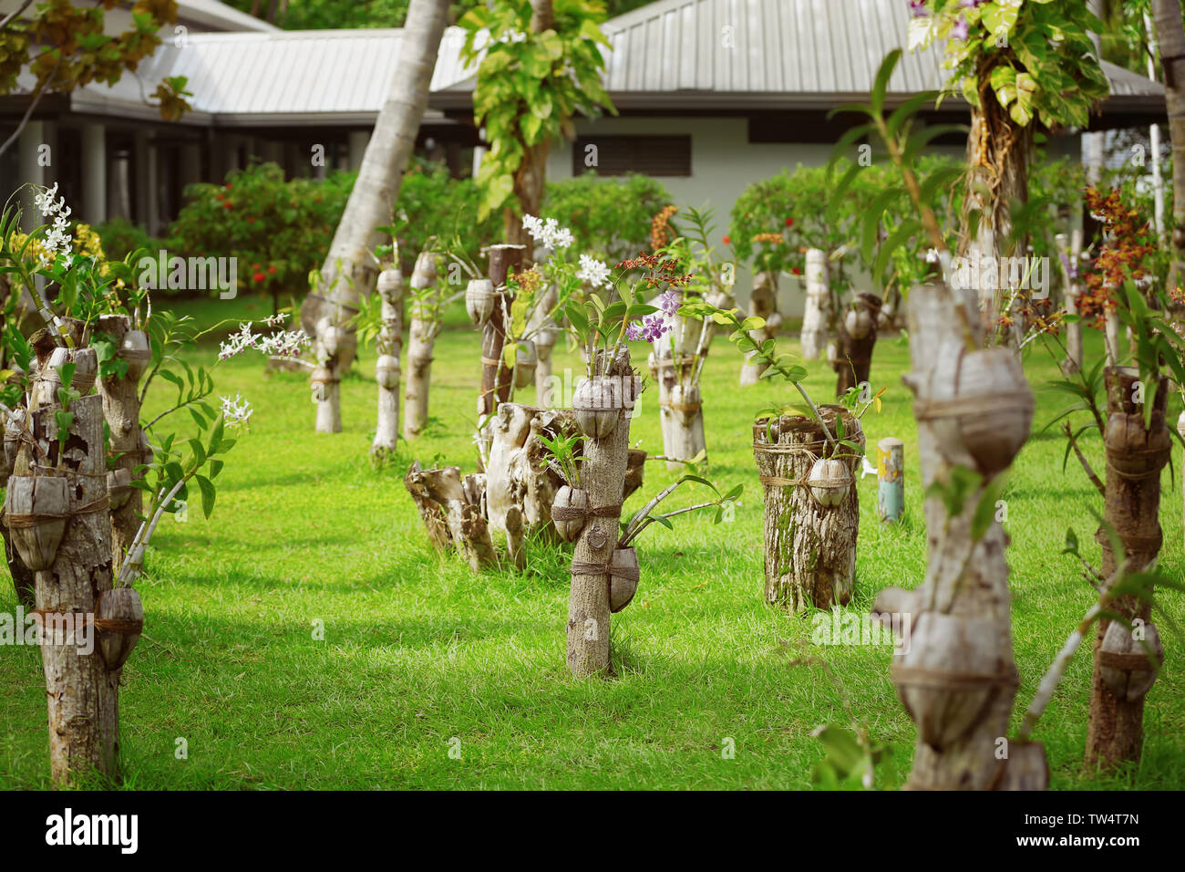 Beautiful garden with tropical plants at resort Stock Photo - Alamy