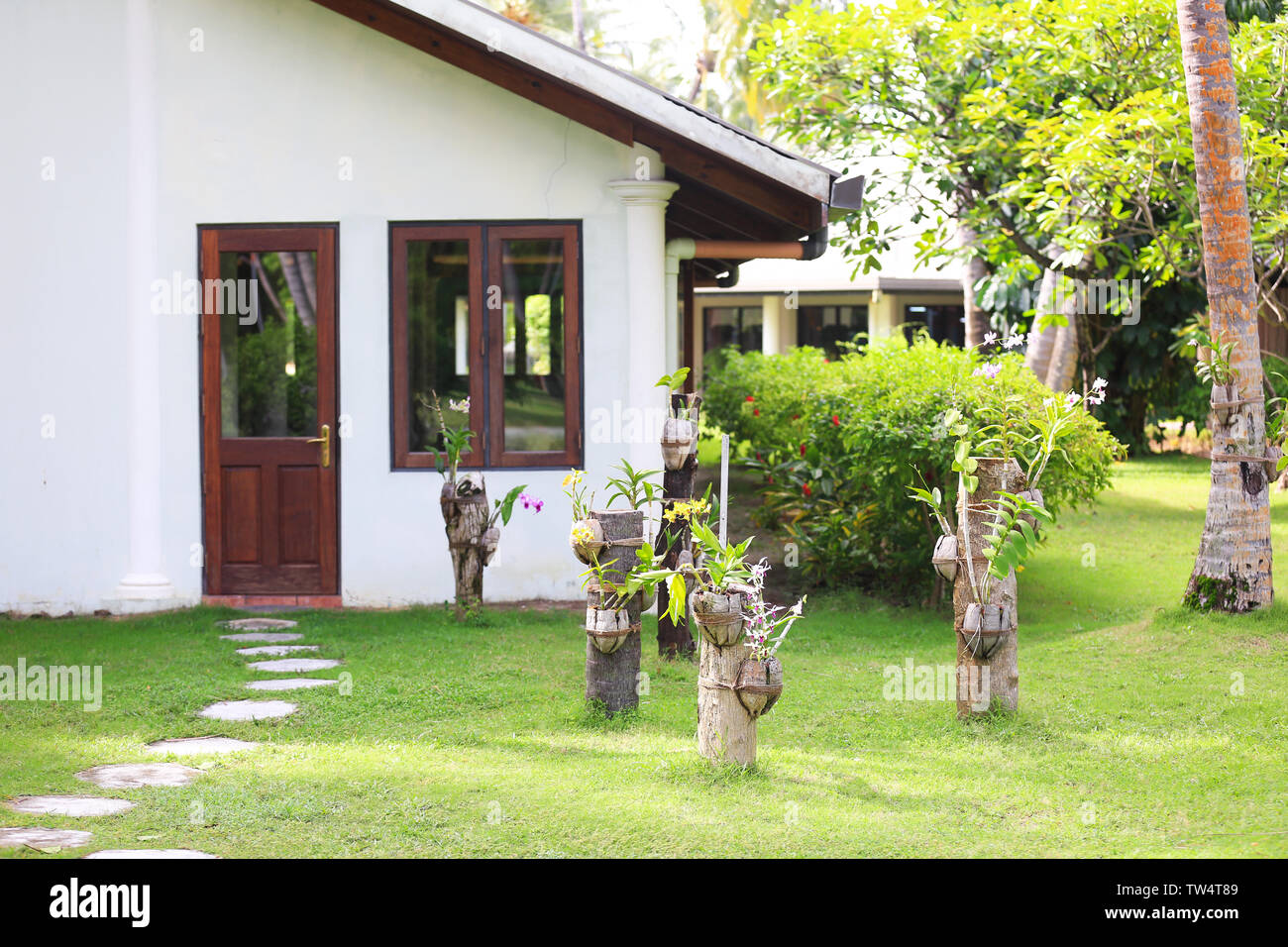 Beautiful garden with tropical plants at resort Stock Photo - Alamy