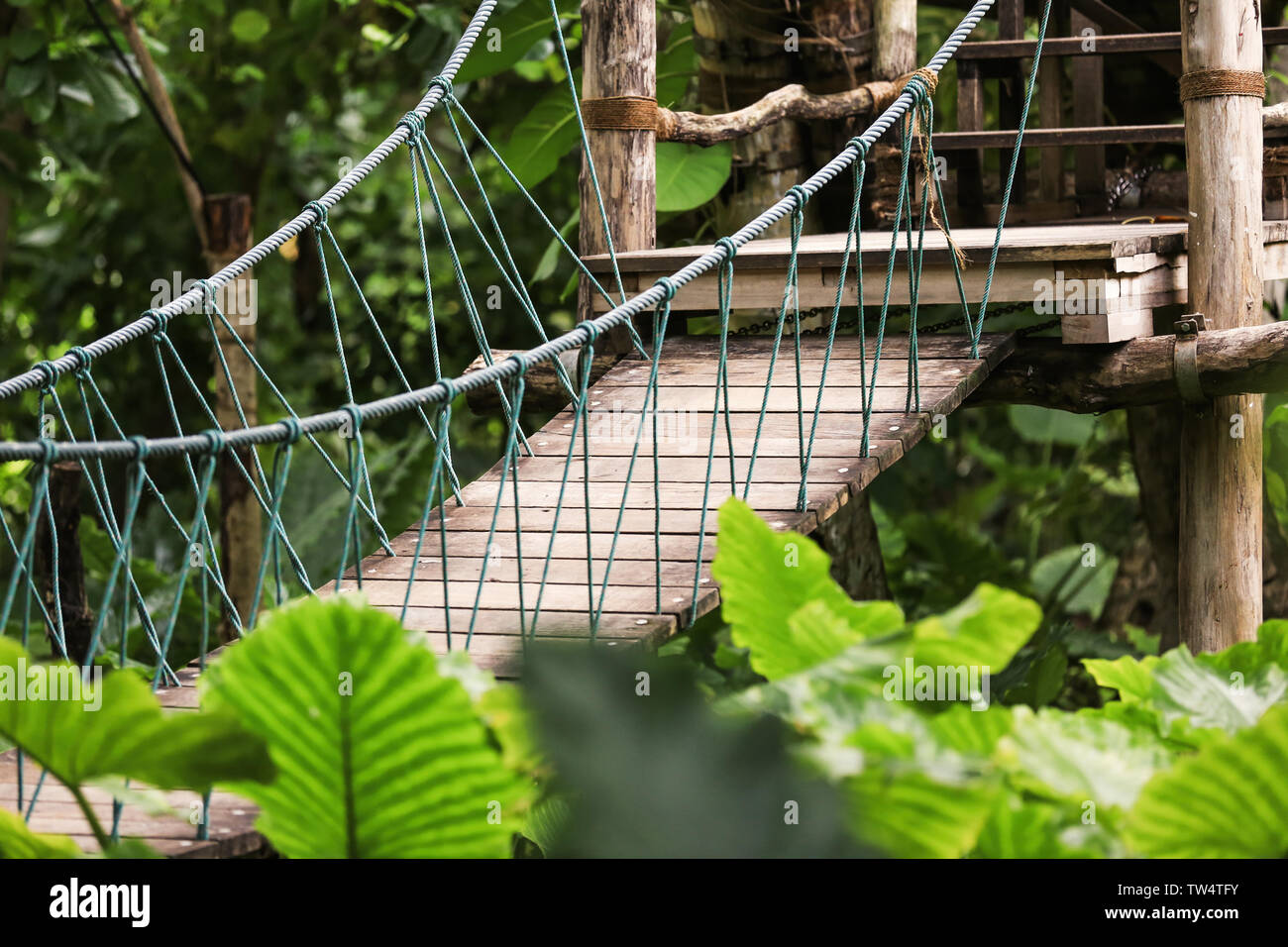 Suspension bridge in park at tropical resort Stock Photo - Alamy