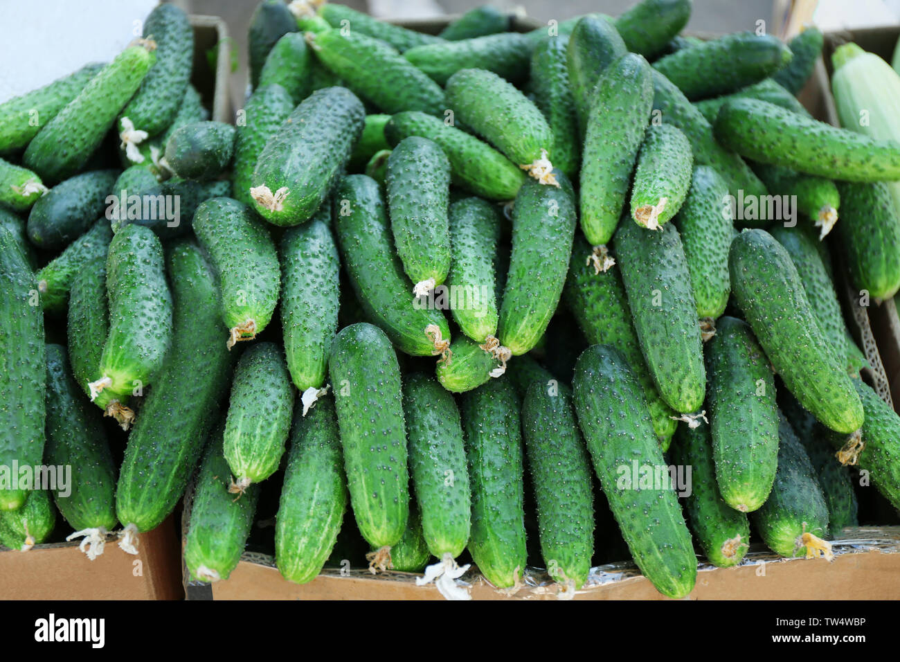 Box with cucumbers on market, closeup Stock Photo - Alamy