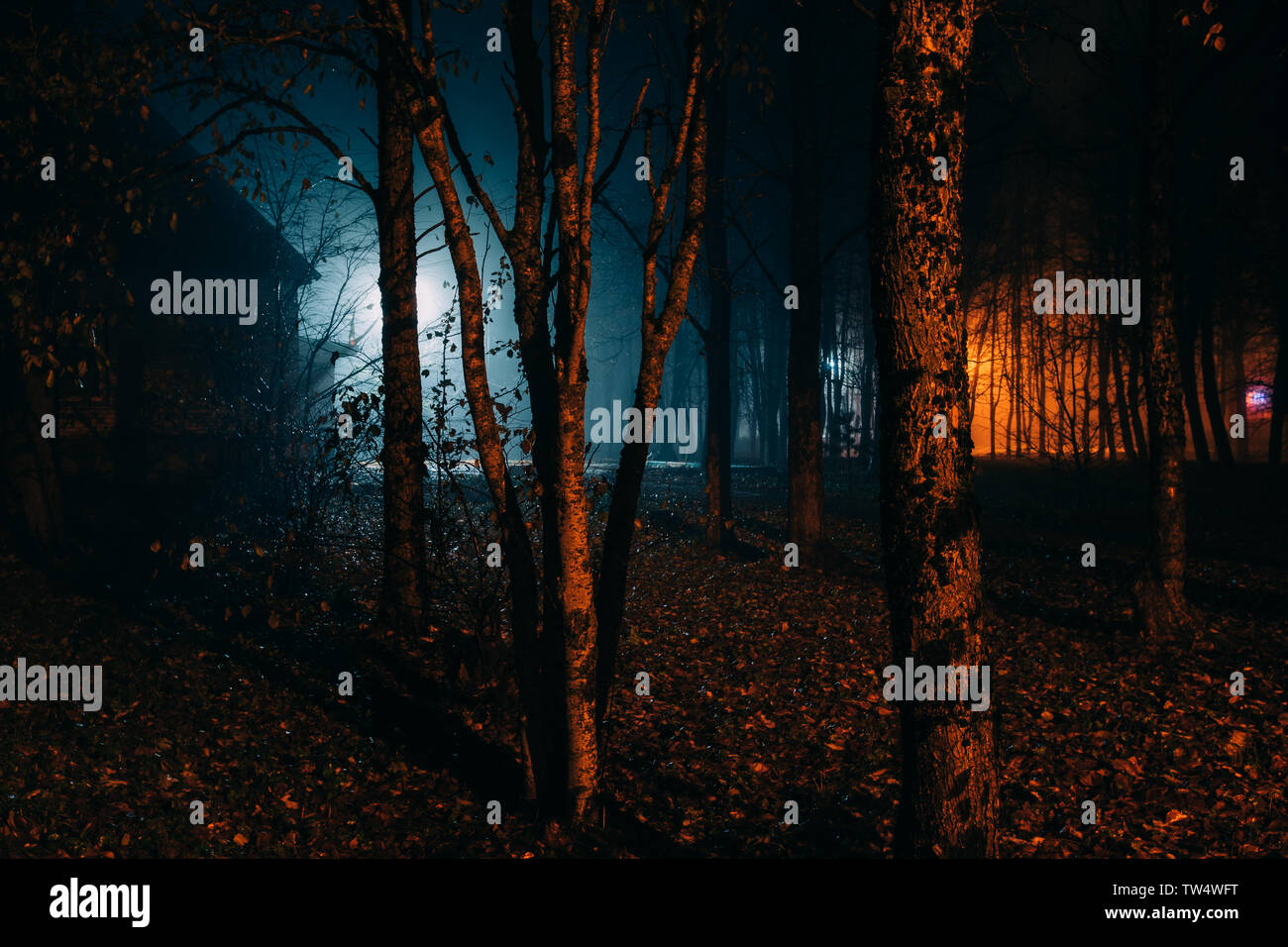 Scary park hi-res stock photography and images - Alamy