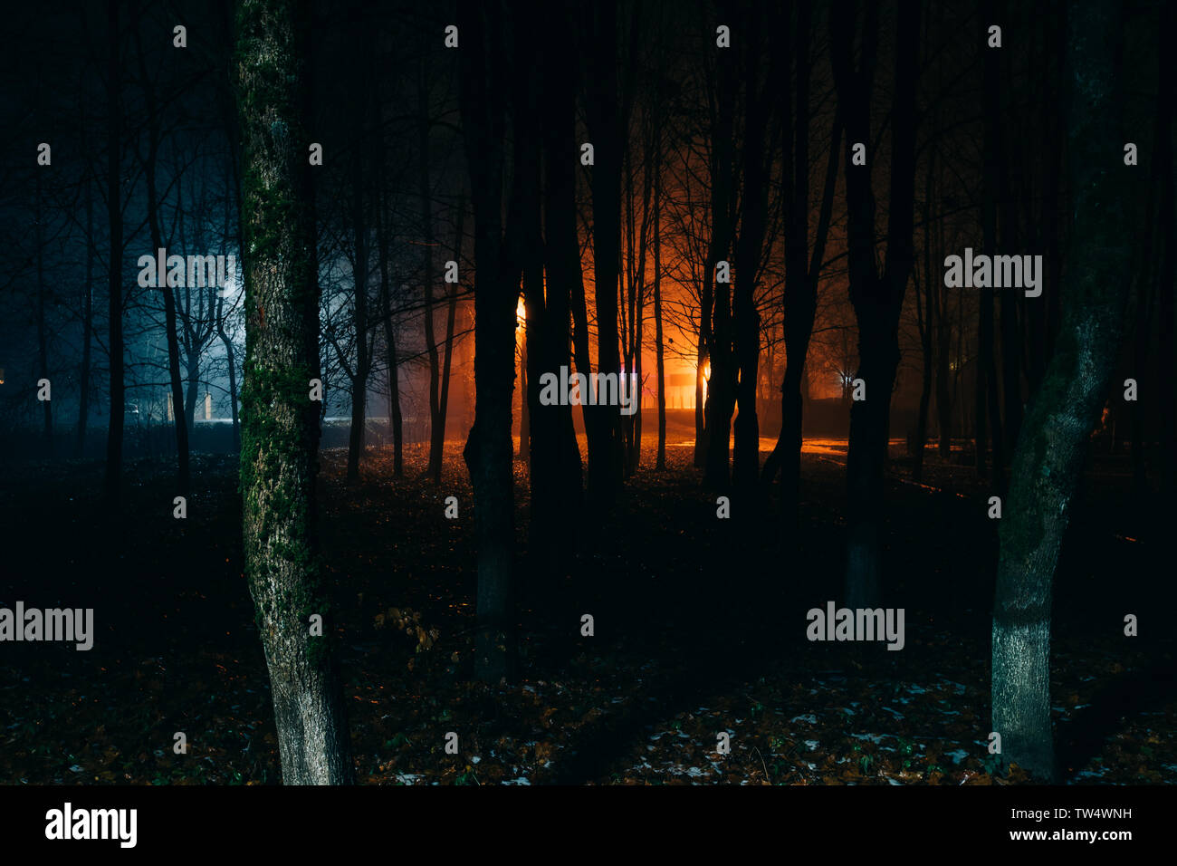 Scary park in the autumn night Stock Photo - Alamy