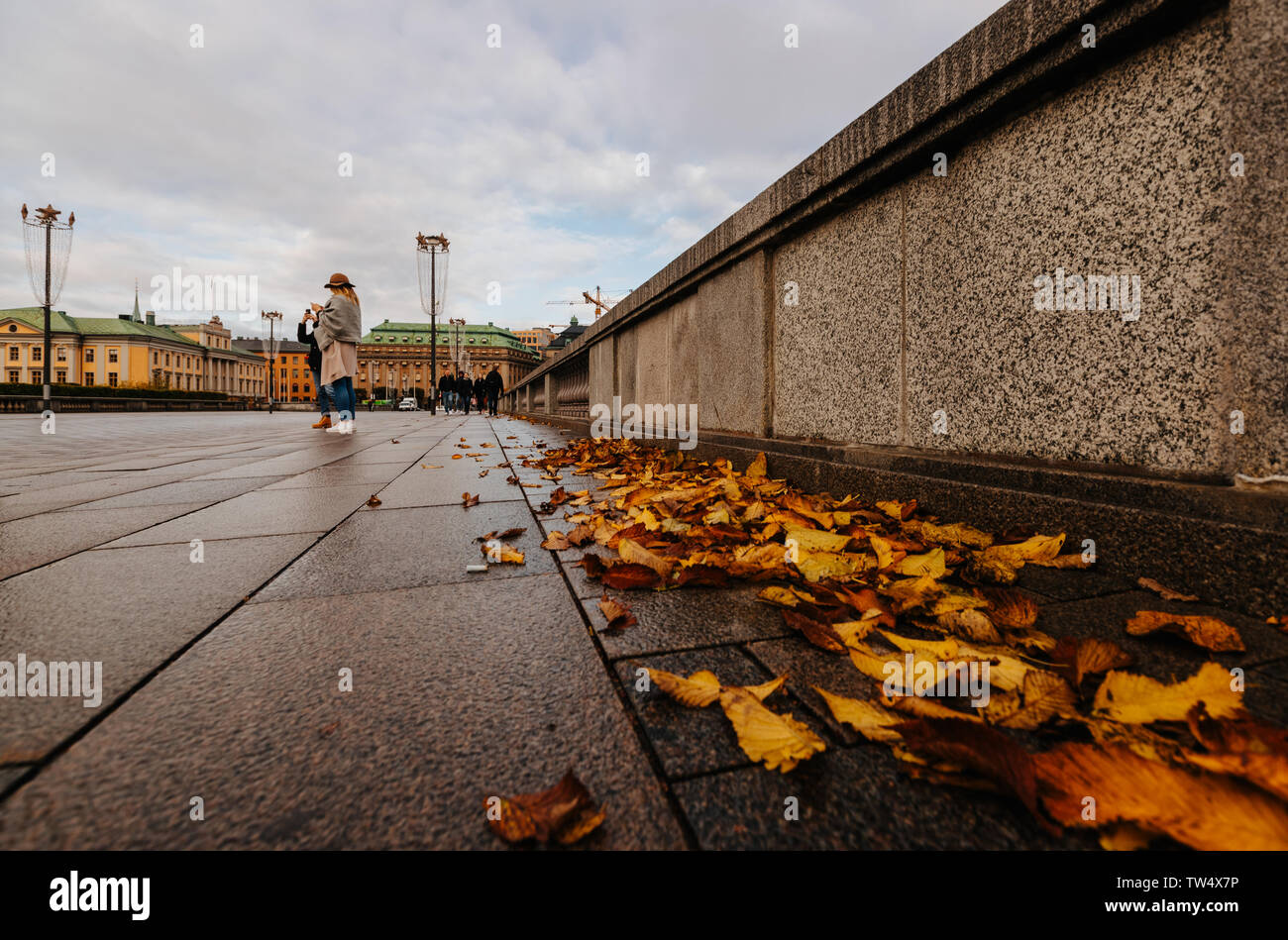 autumn in Stockholm Sweden Stock Photo - Alamy