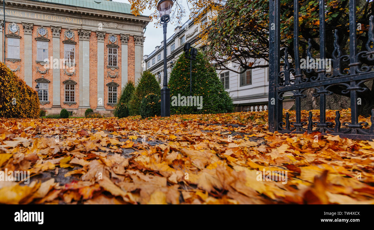 autumn in Stockholm Sweden Stock Photo - Alamy