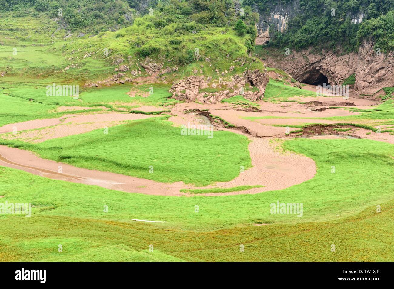 Green beautiful prairie Stock Photo - Alamy