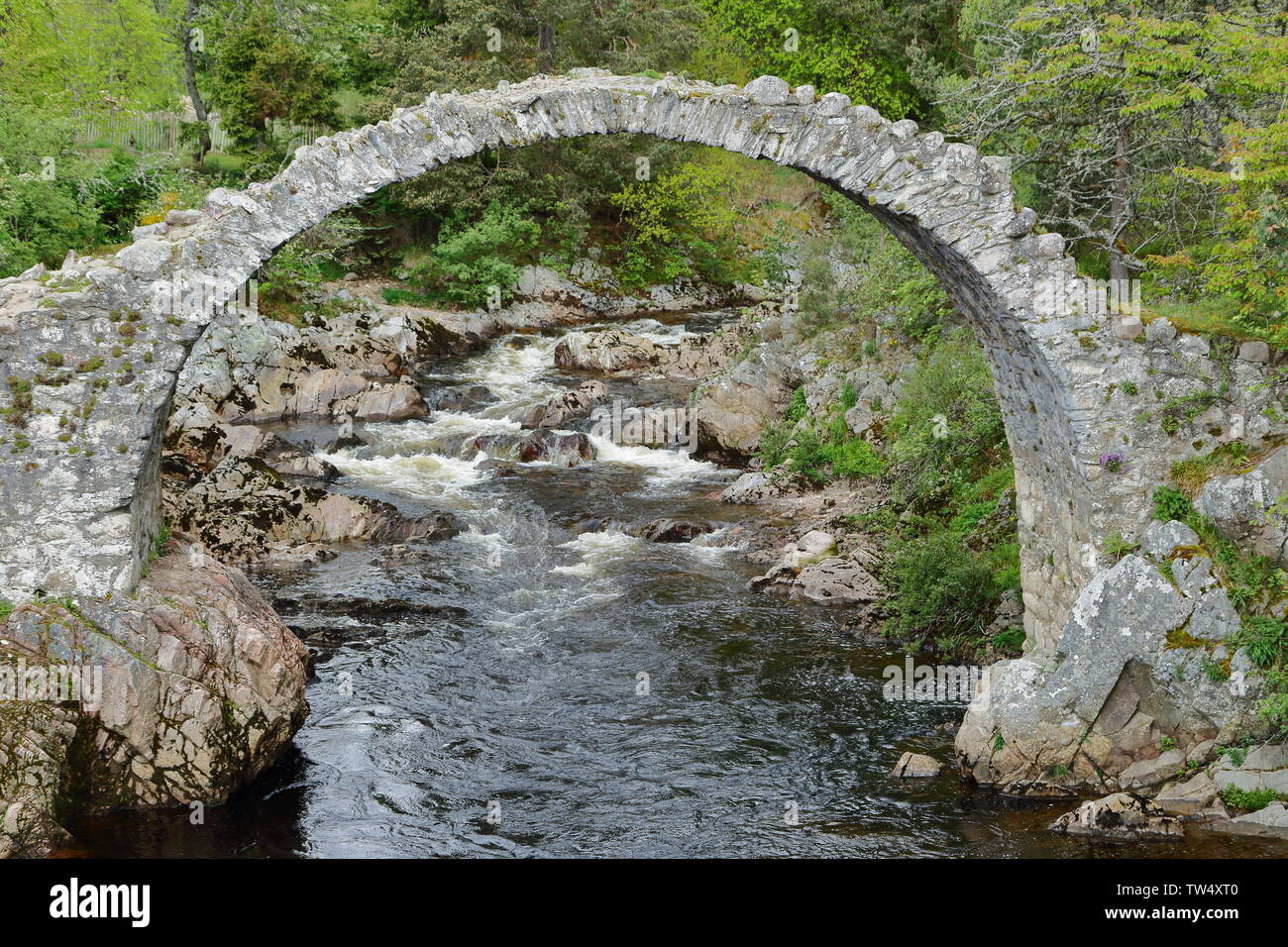" Carr-bridge" Old stone bridge, built in 1717, Carrbridge, Cairngorms ...