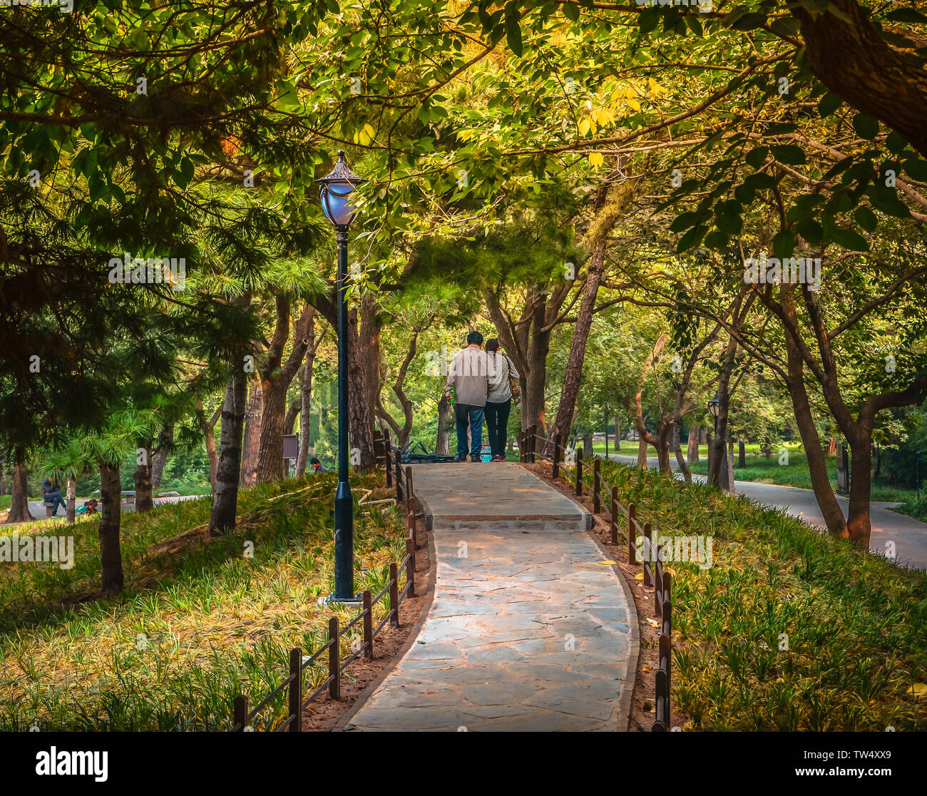 Tao ran hi-res stock photography and images - Alamy