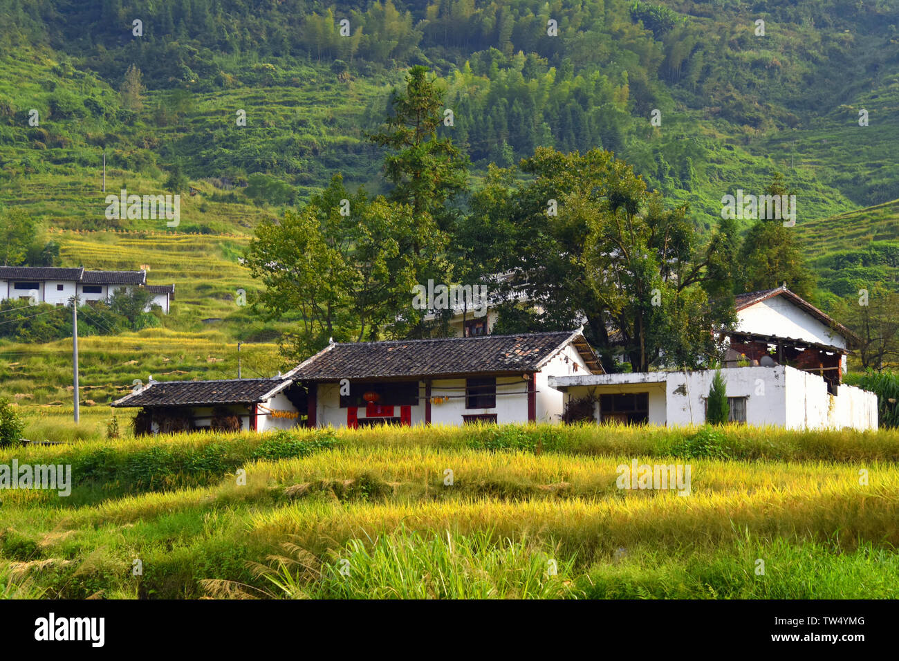 Suichuan xianmi ling terraces hi-res stock photography and images - Alamy