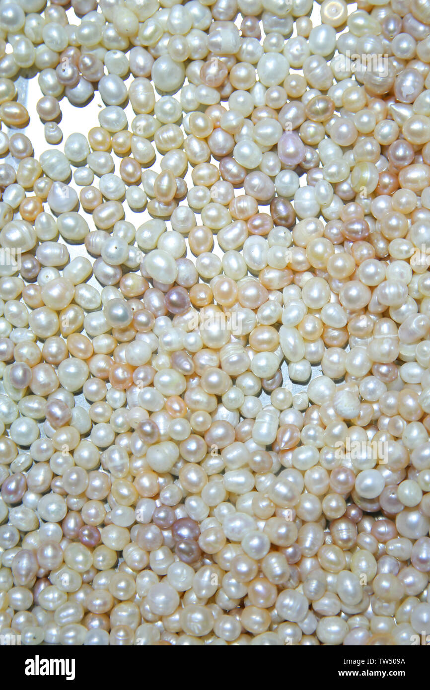 Freshwater pearls hi-res stock photography and images - Alamy