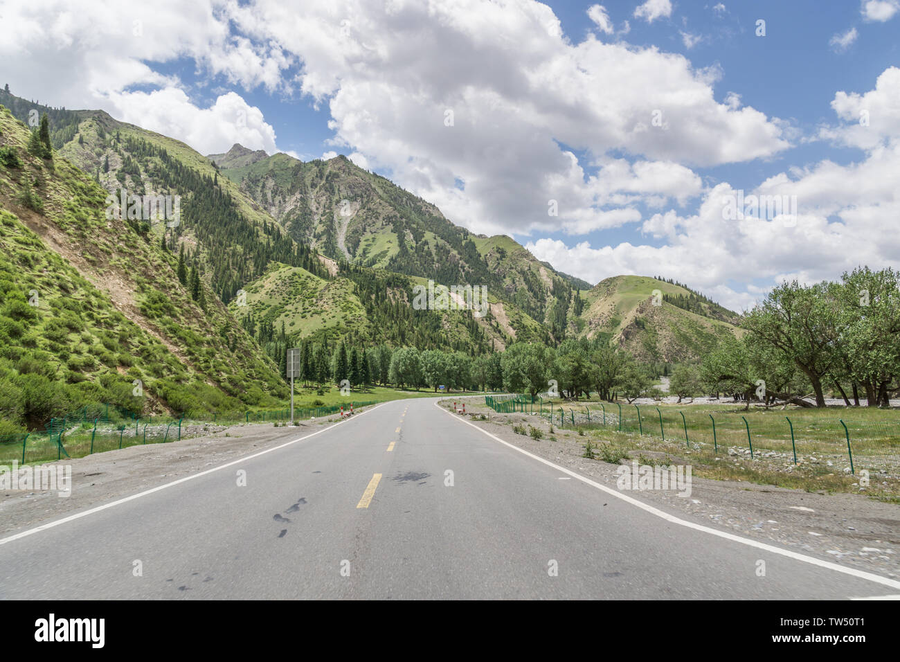 G217 Duku Highway in Alpine Forest under Summer Blue Sky and White ...