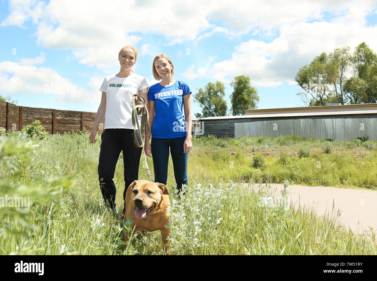 Female volunteers walking dog on the territory of animal shelter Stock ...